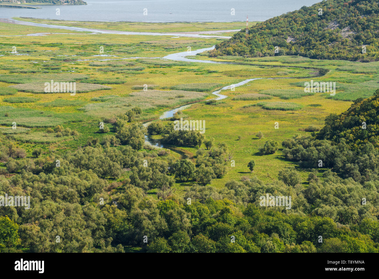 Lake Skadar — also called Lake Scutari, Lake Shkodër and Lake Shkodra — lies on the border of ...