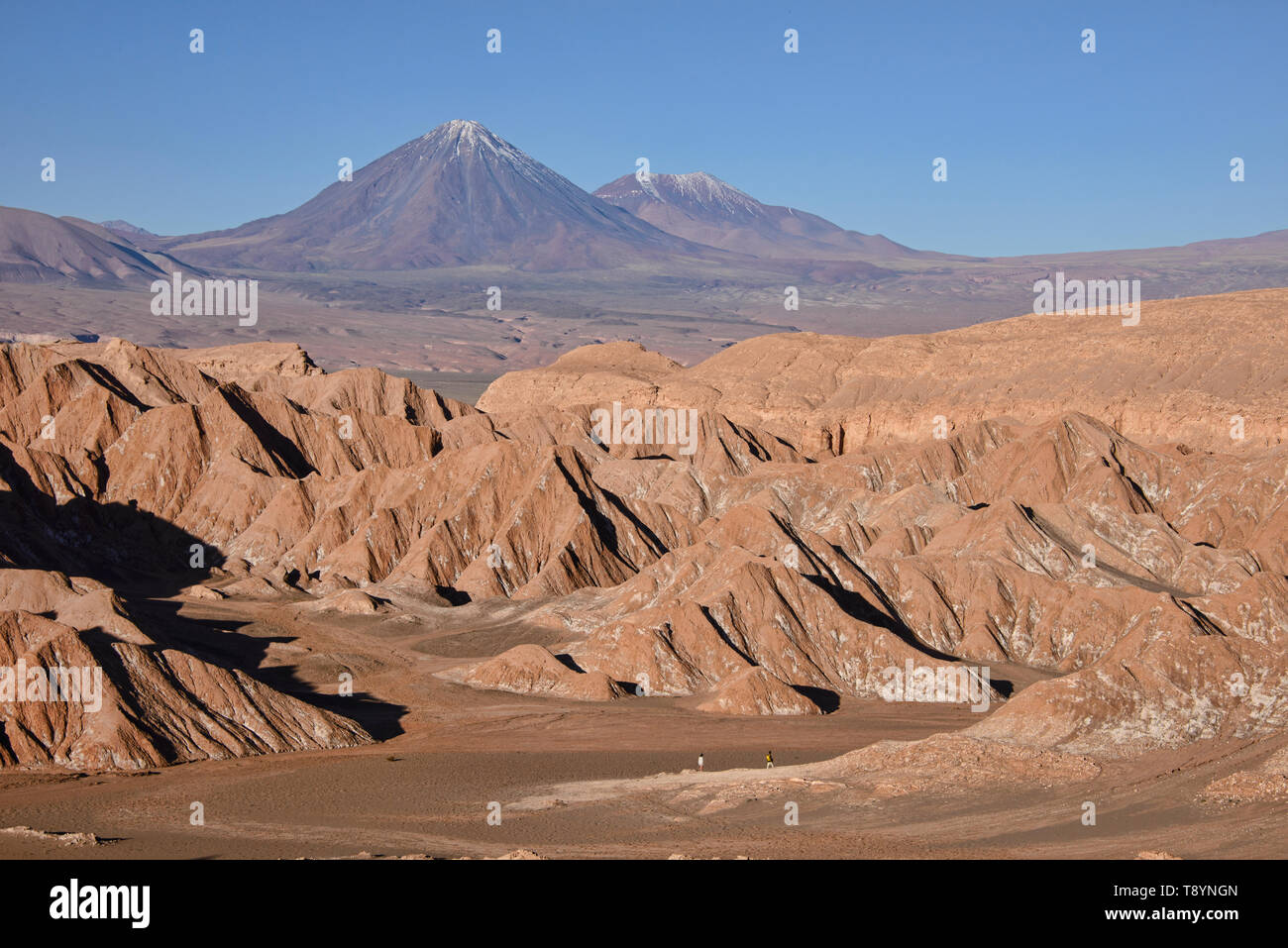 View of Licancabur volcano above the desert landscape in the Valle ...