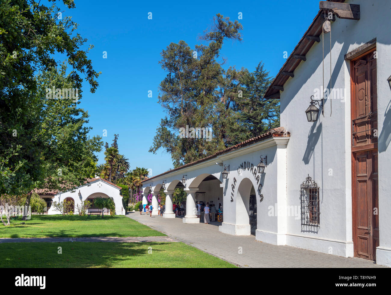 Vina undurraga hi-res stock photography and images - Alamy