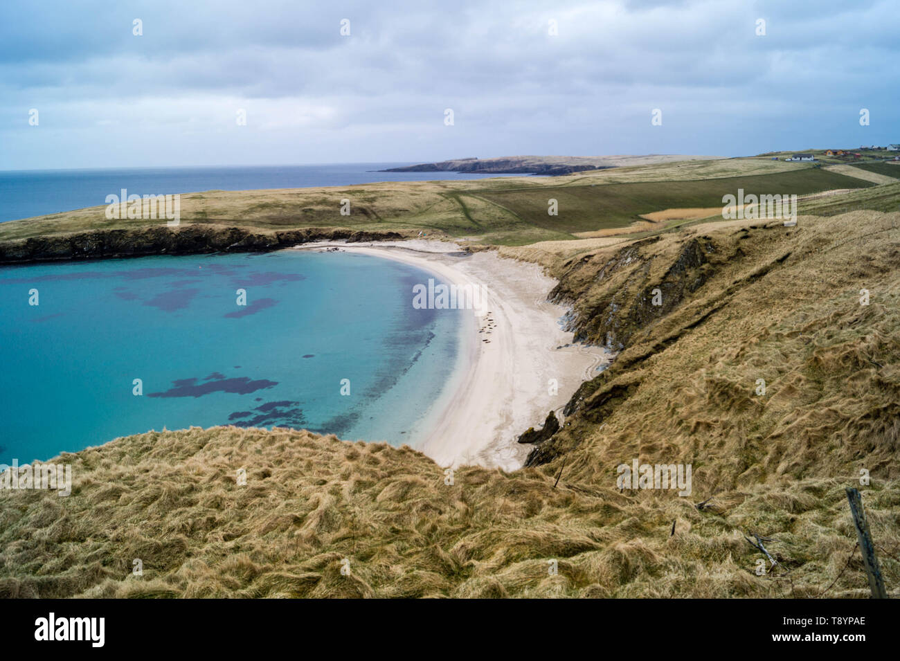 Shetland islands lerwick summer hi-res stock photography and images - Alamy