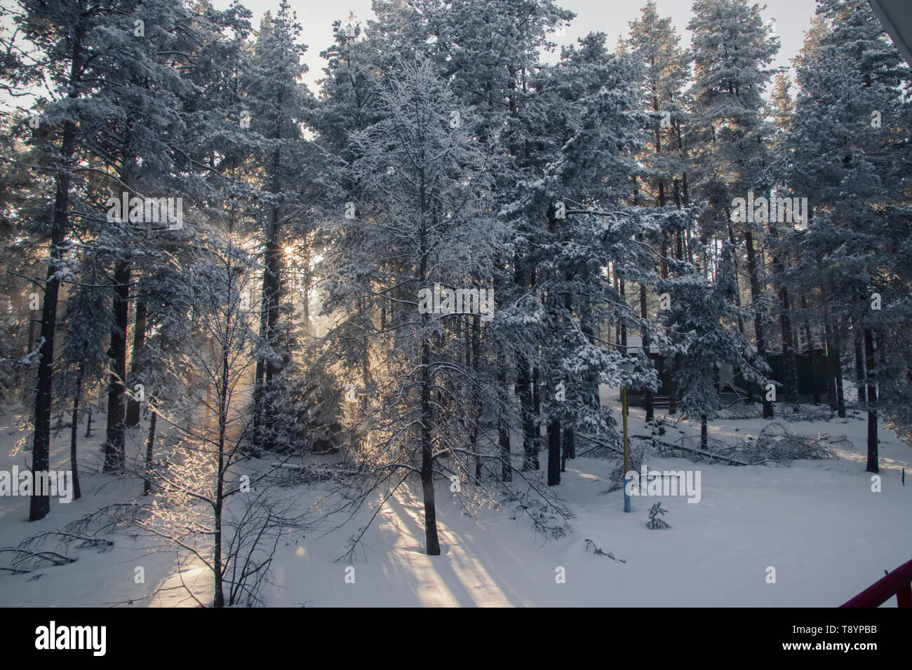 Rodopa Mountain High Resolution Stock Photography and Images - Alamy