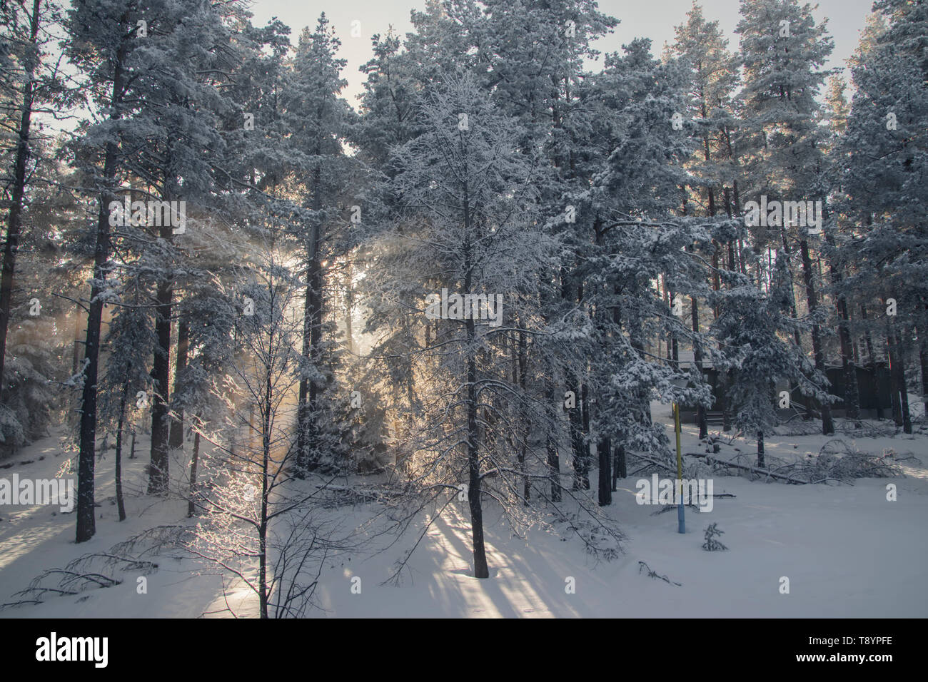 Rodopa mountain hi-res stock photography and images - Alamy