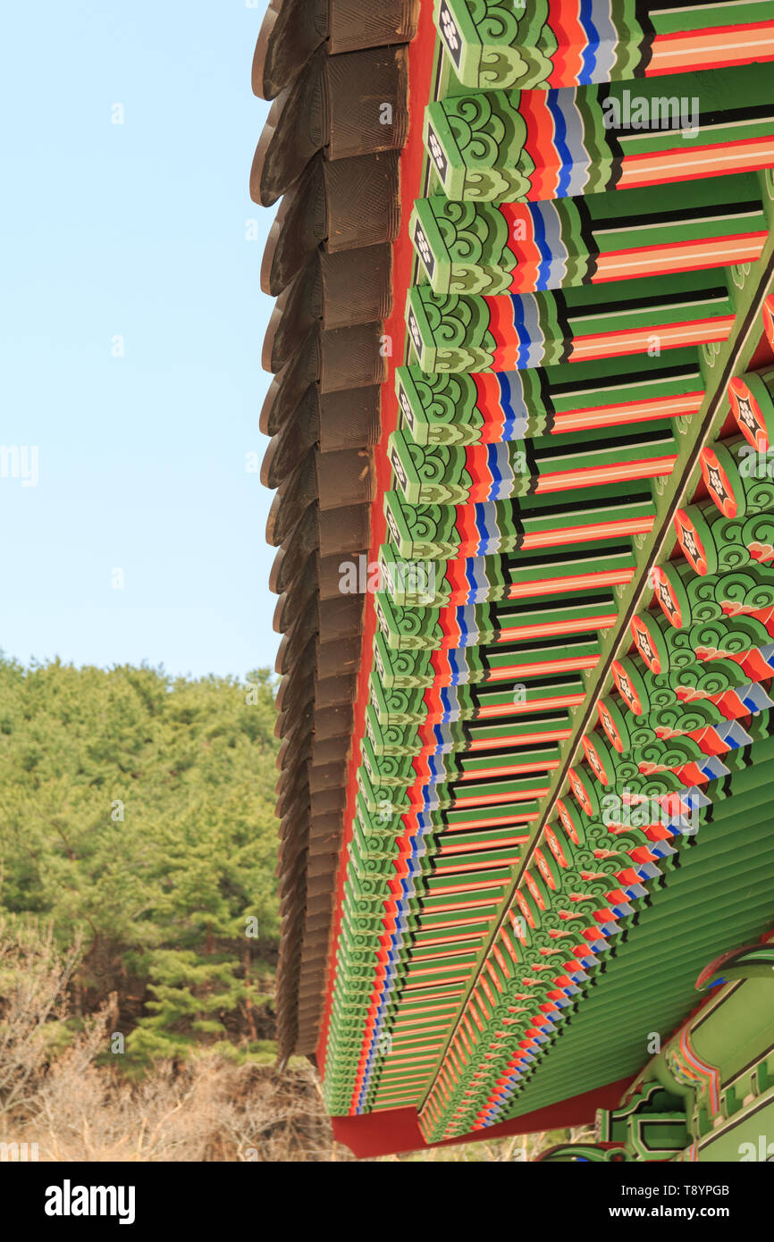 Dancheong, pattern and coloring on wooden building of traditional ...