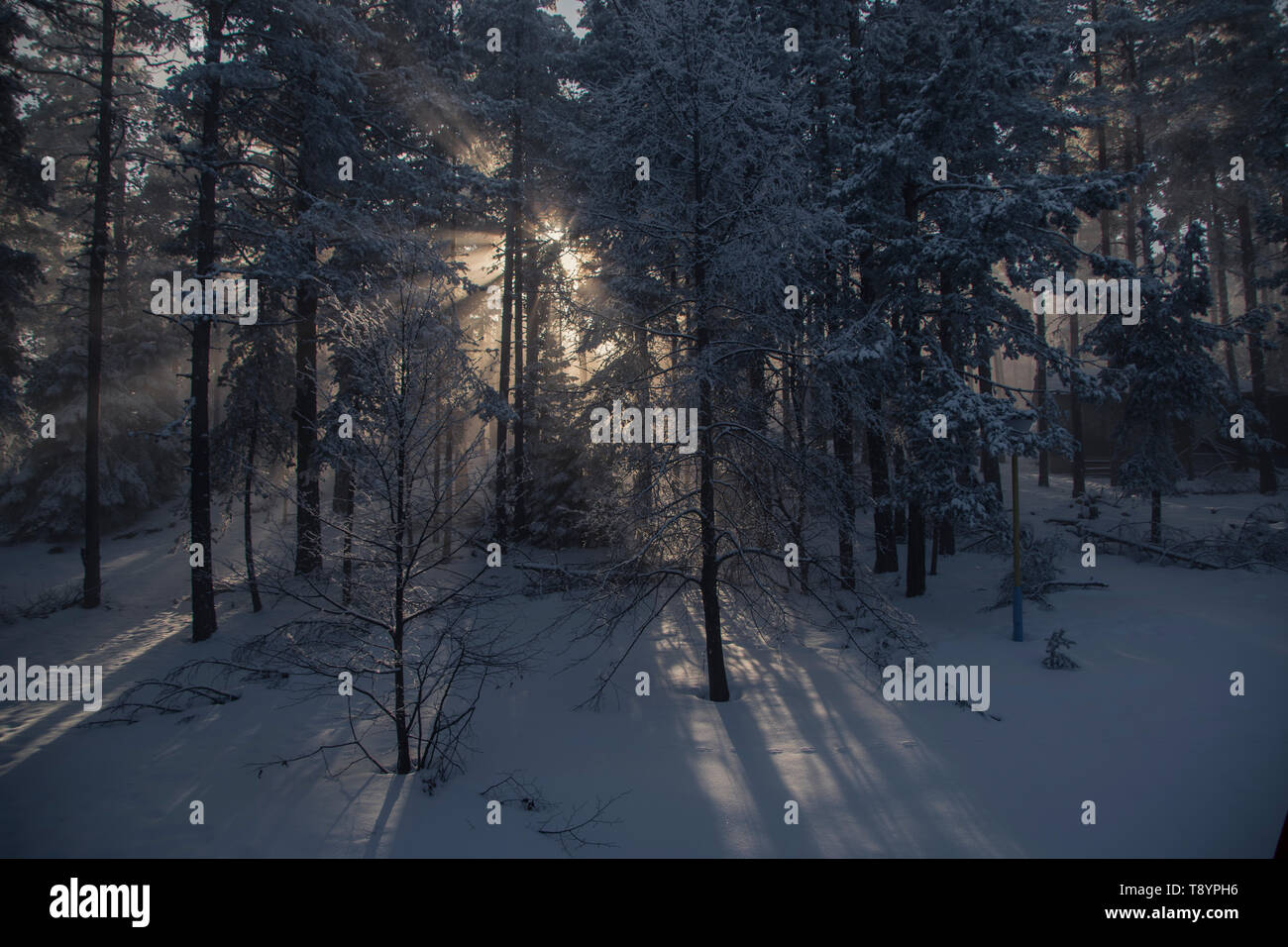 Rodopi mountain hi-res stock photography and images - Alamy