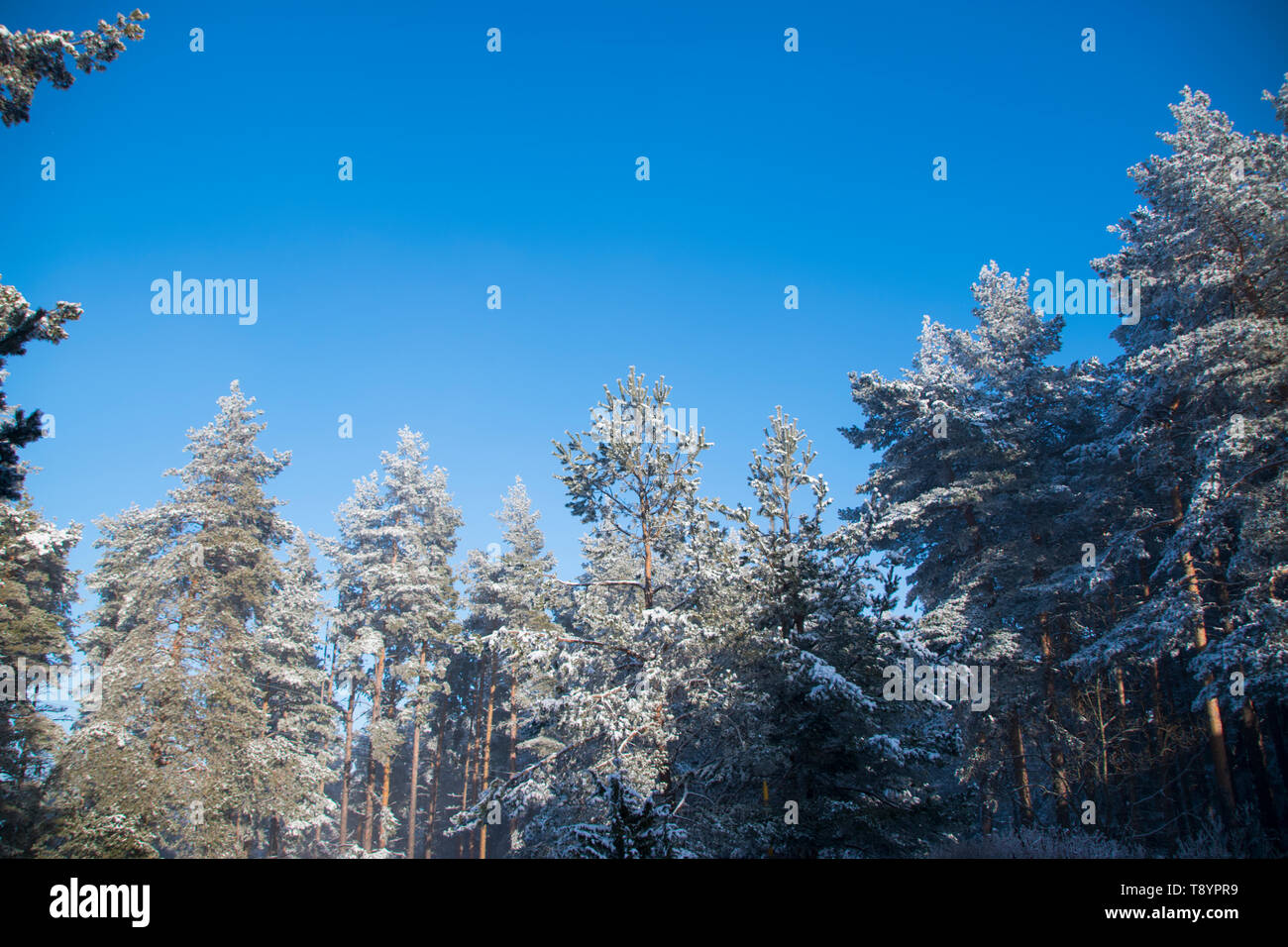 Rodopa Mountain High Resolution Stock Photography and Images - Alamy