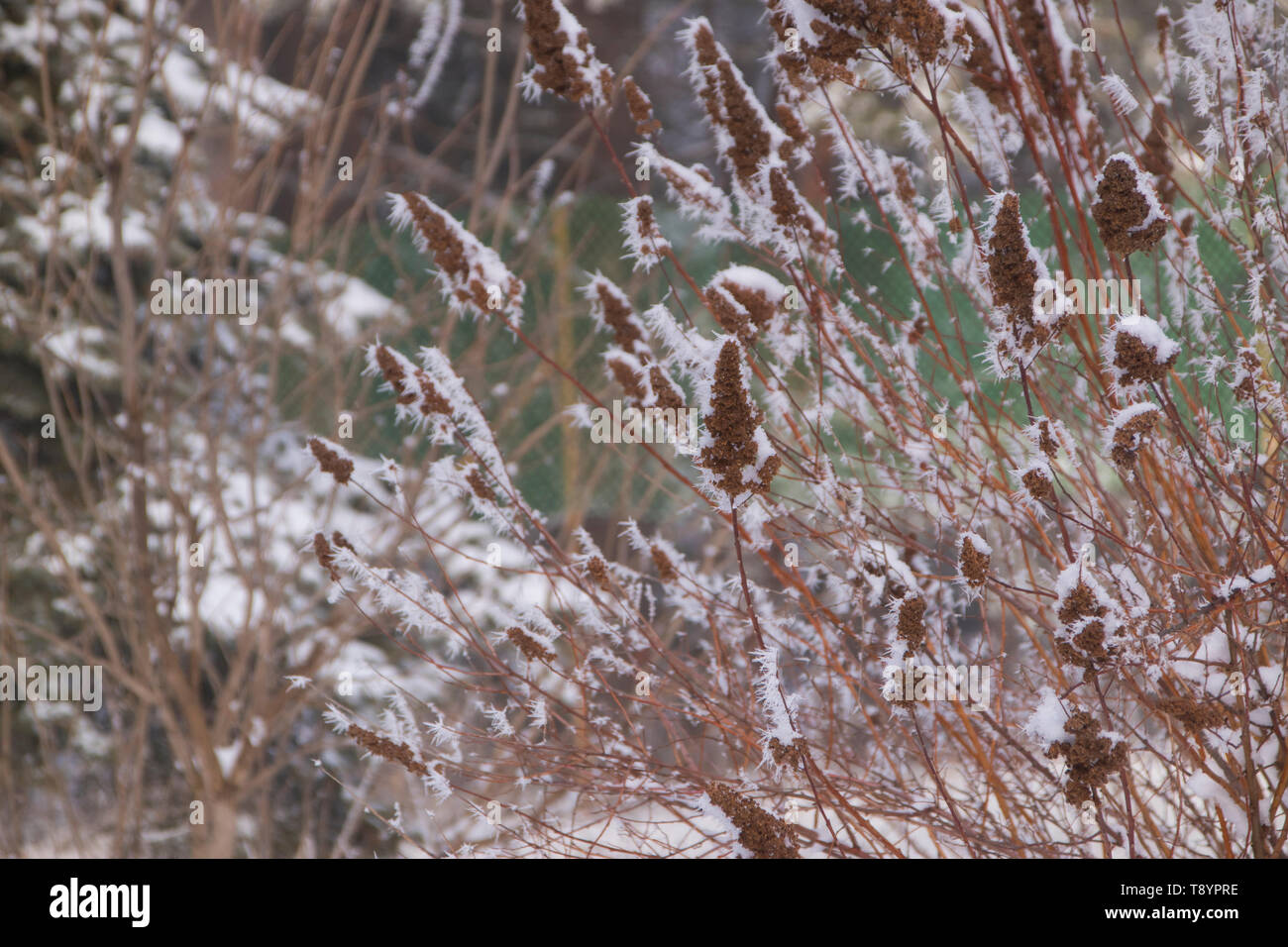 Rodopa Mountain High Resolution Stock Photography and Images - Alamy
