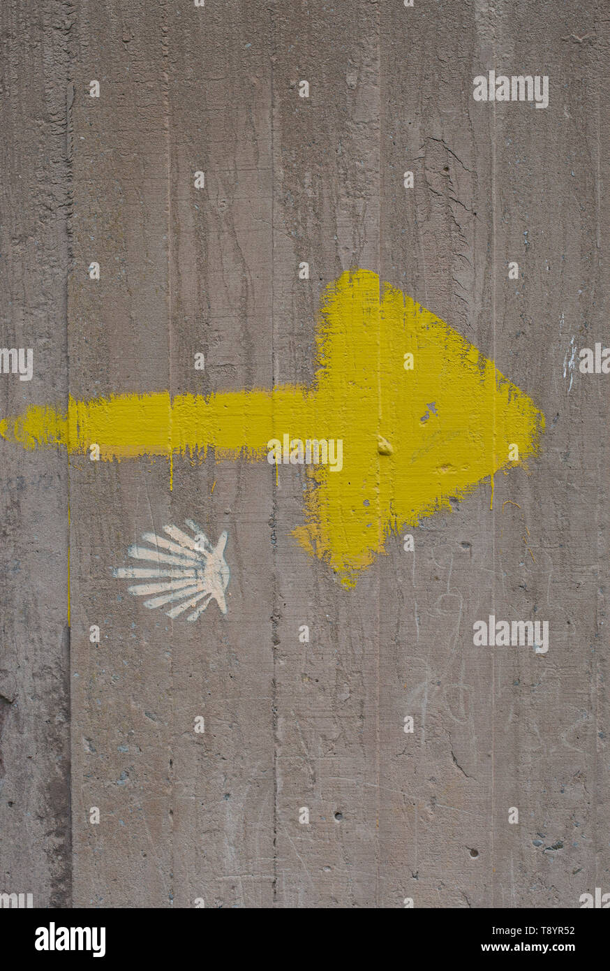 Scallop shell symbol marking the pilgrim's path to Santiago de ...