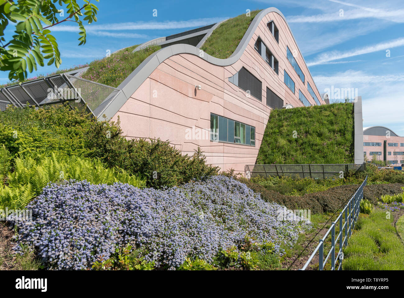 Alder hey hospital hi-res stock photography and images - Alamy