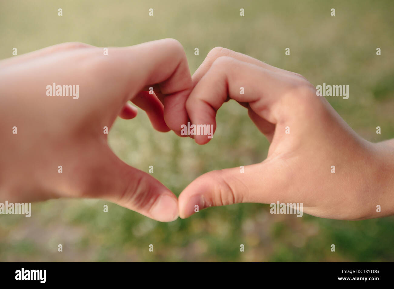 Heart from child hands on green grass background Stock Photo - Alamy