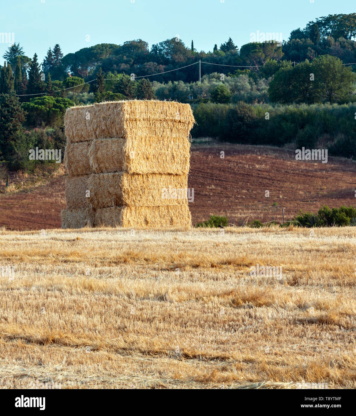 Beautiful morning summer country landscape. Field with haystack on hill ...