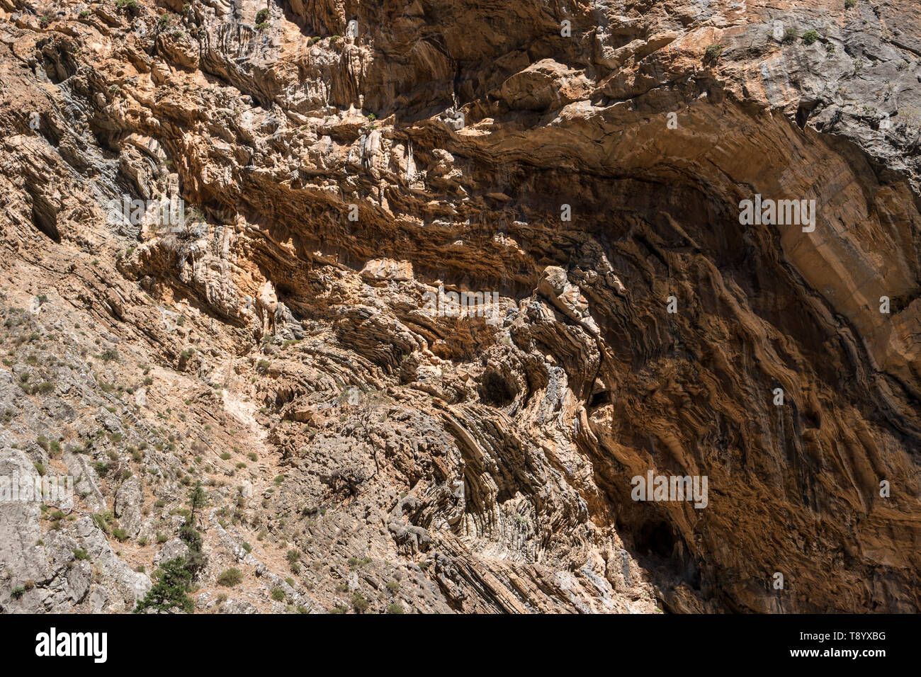 Sedimentary rock. Structure of natural stone. Background Stock Photo ...