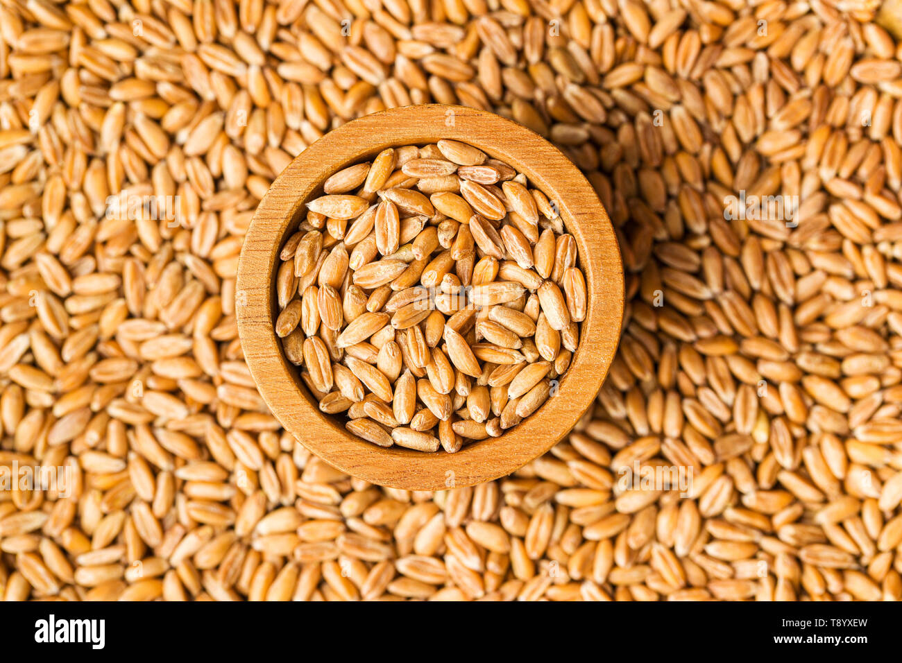 Spelt whole grain hi-res stock photography and images - Alamy