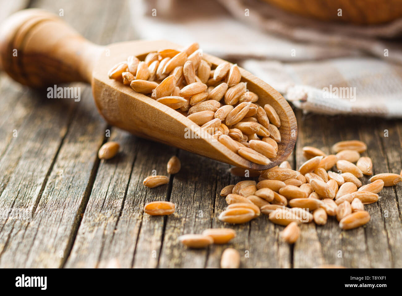 Spelt whole grain hi-res stock photography and images - Alamy