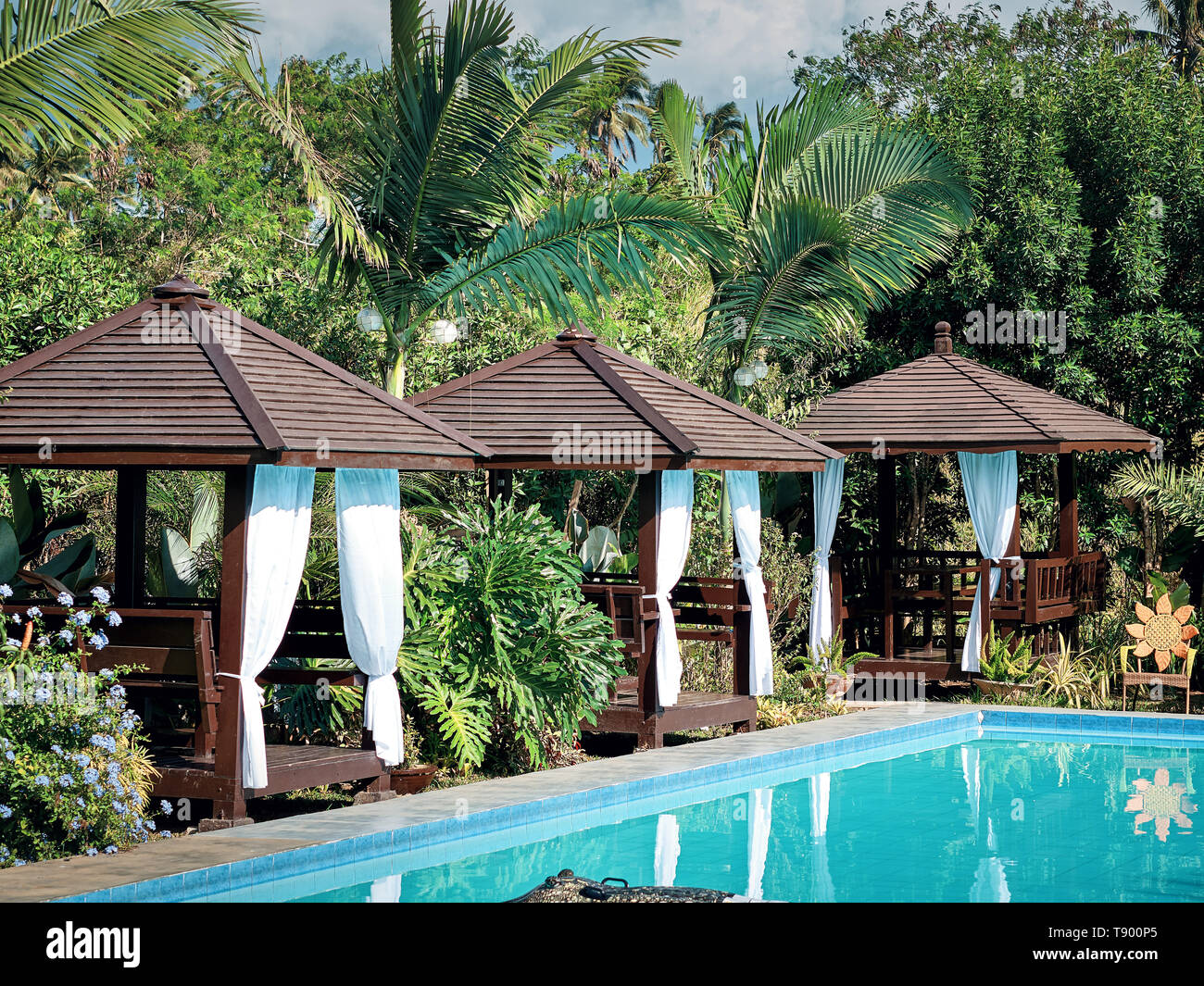 Jungle canopies hi-res stock photography and images - Alamy
