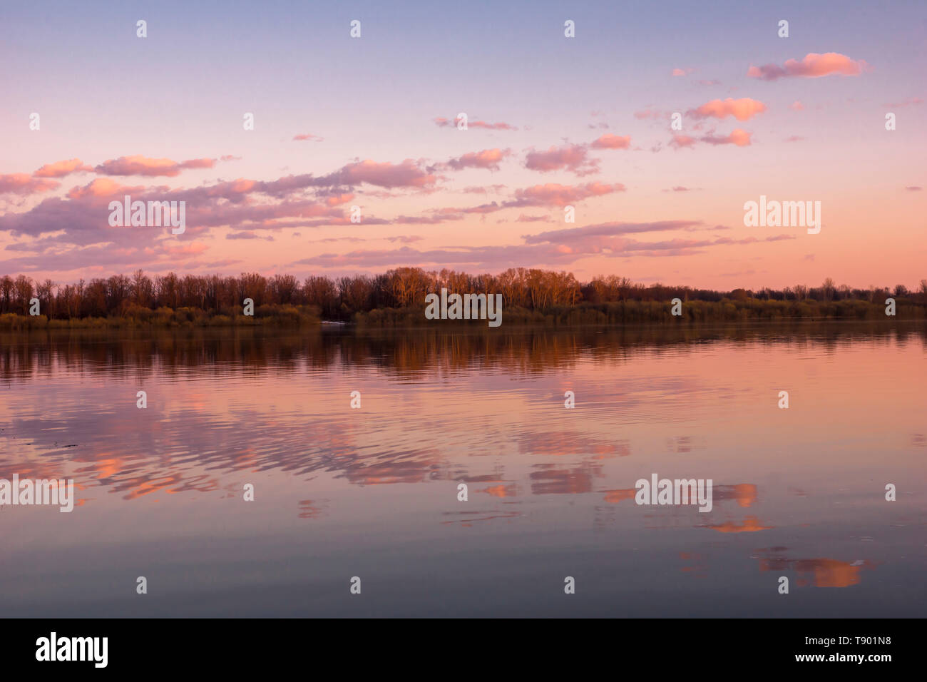 spring river landscape spill evening pink clouds Stock Photo - Alamy