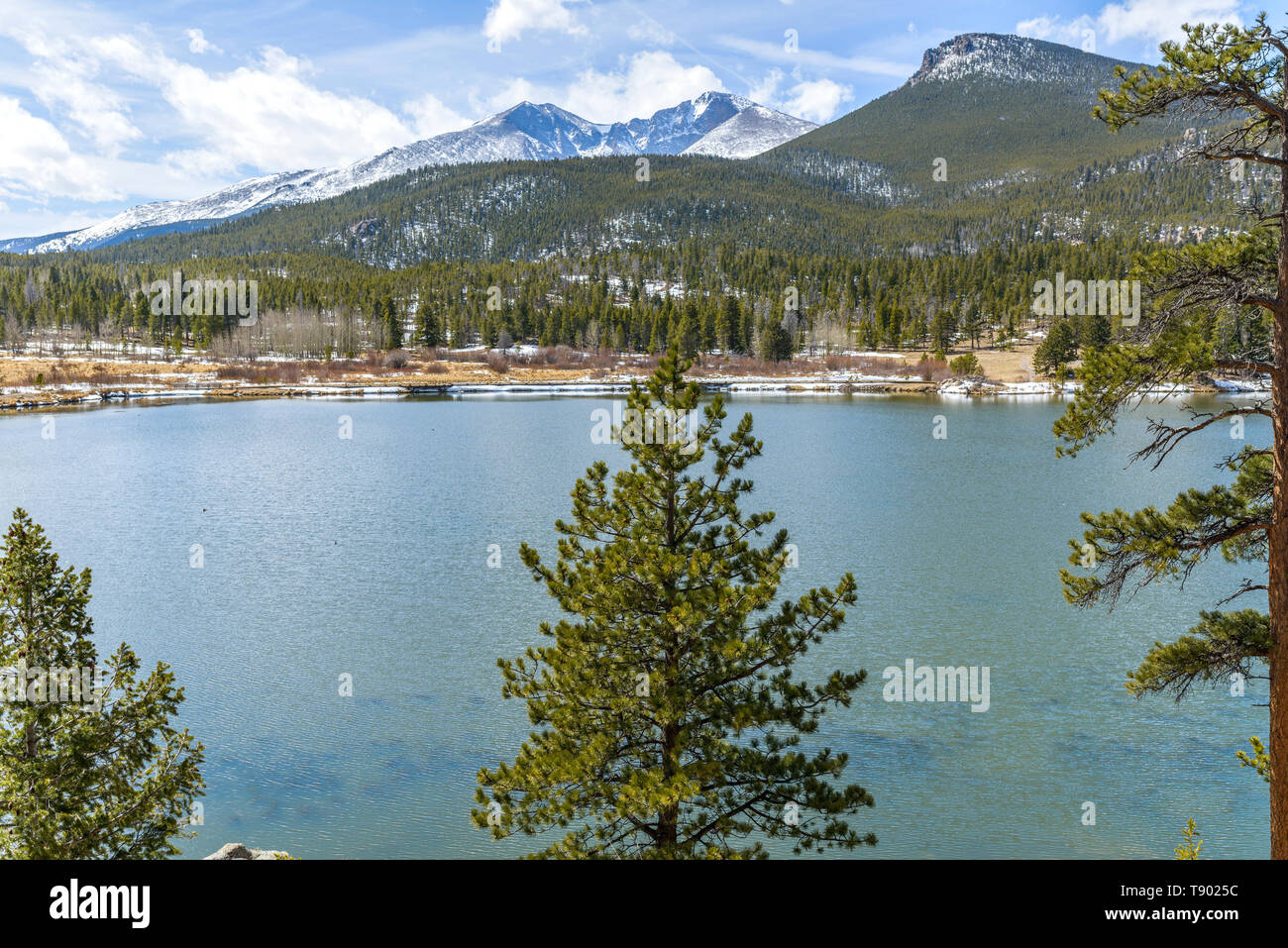 Lily Lake - A Spring view of Lily Lake, with Mt. Meeker and Longs Peak ...