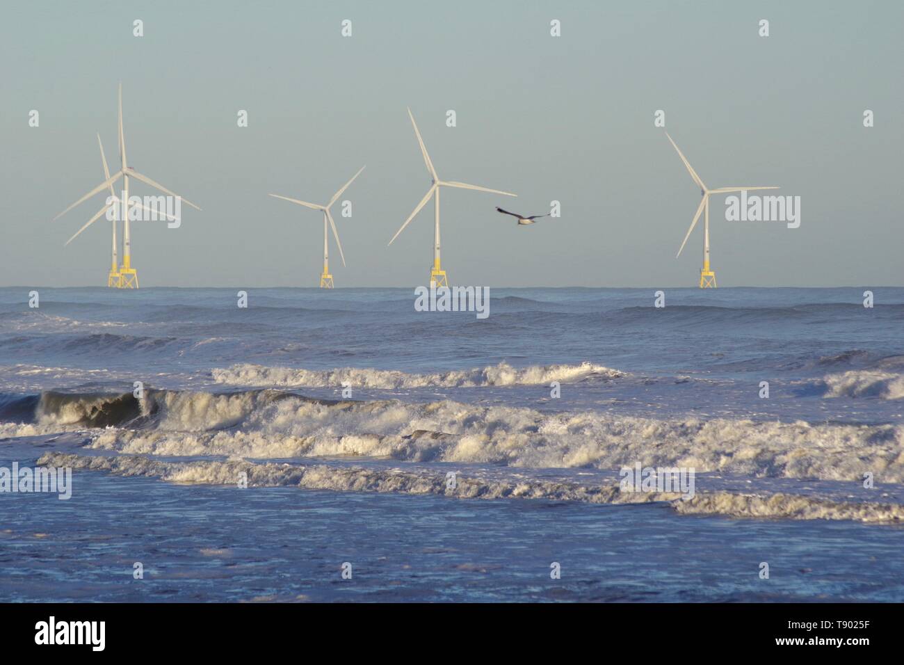 European Offshore Wind Deployment Centre with Rough Waves Breaking onto ...