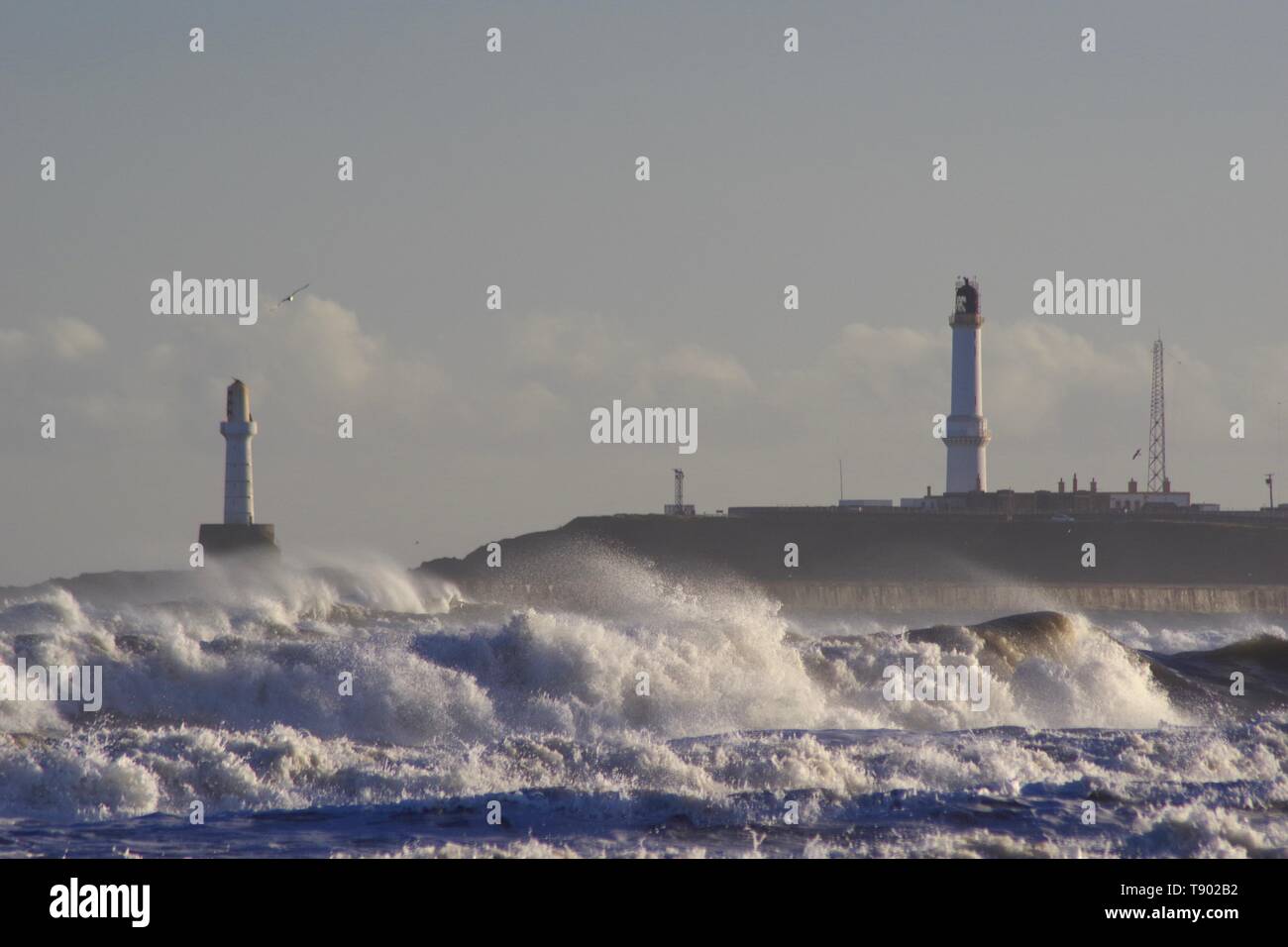 Aberdeen girdleness lighthouse hi-res stock photography and images - Alamy