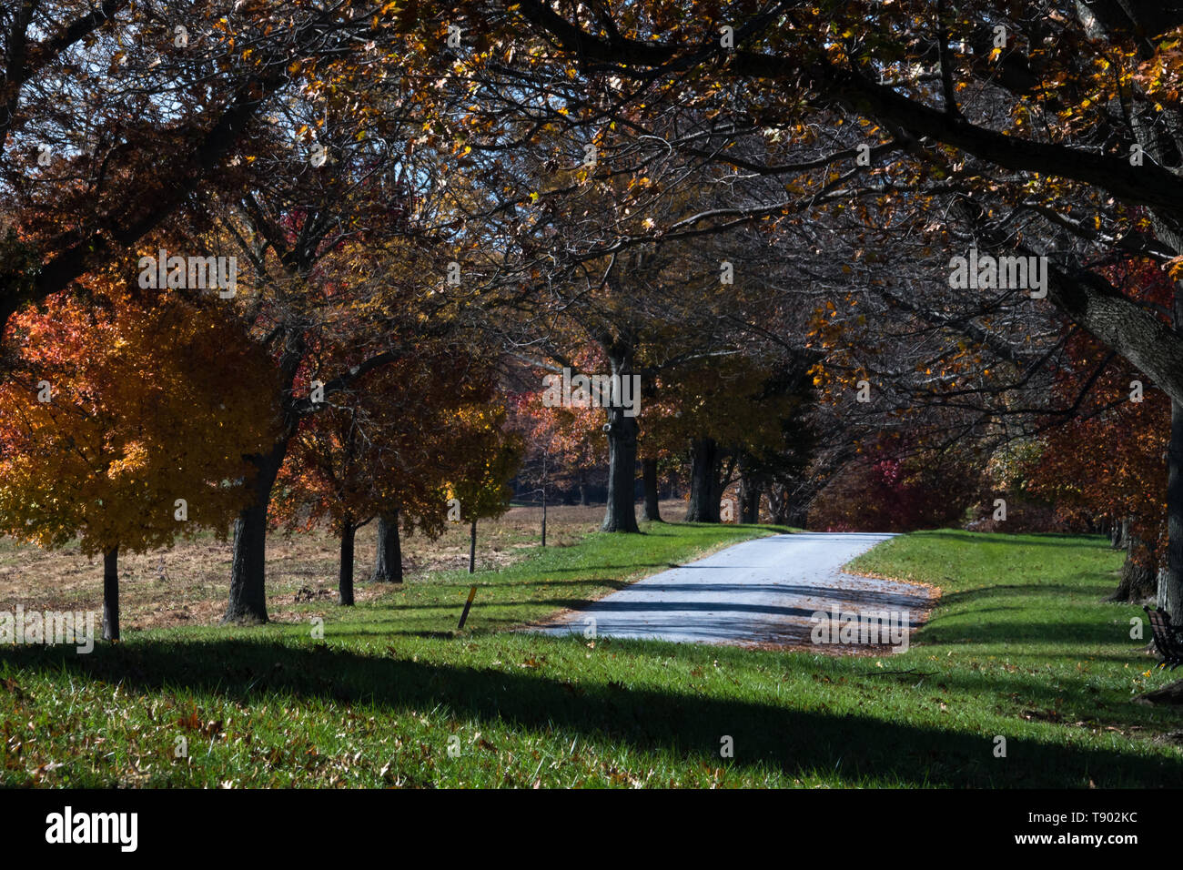 Valley Forge George Washington High Resolution Stock Photography and ...