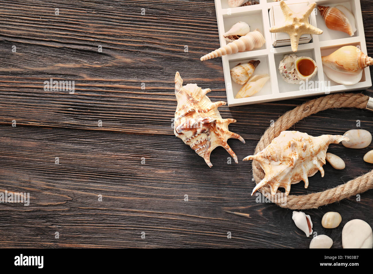Composition with different sea shells on wooden background Stock Photo ...