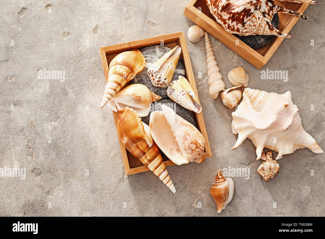 Shells and boxes hi-res stock photography and images - Alamy