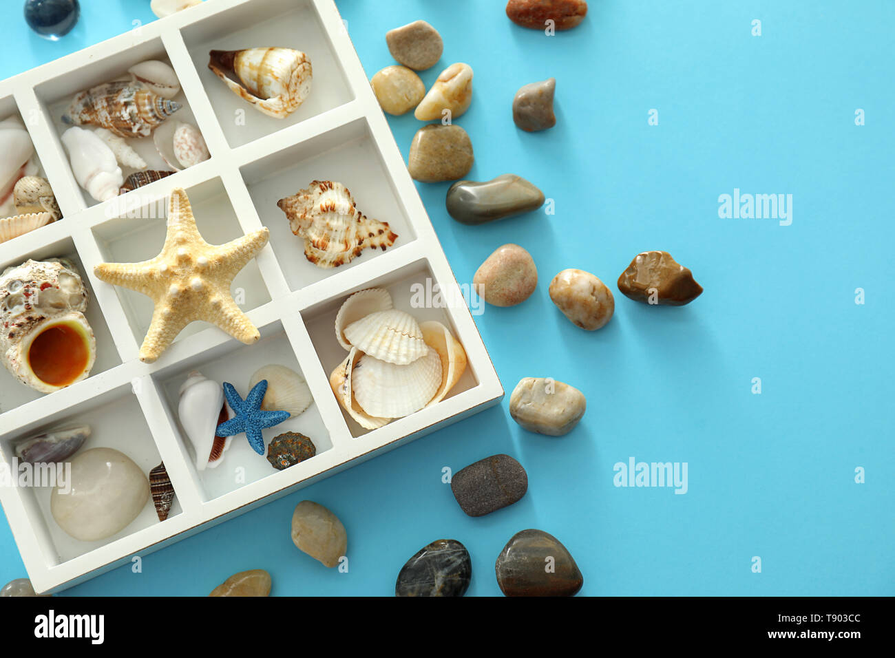 Box different sea shells hi-res stock photography and images - Alamy
