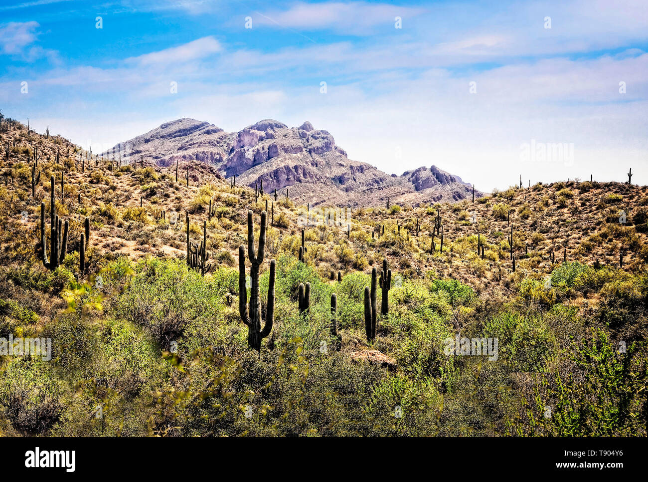 Desert mountains and nature hi-res stock photography and images - Alamy