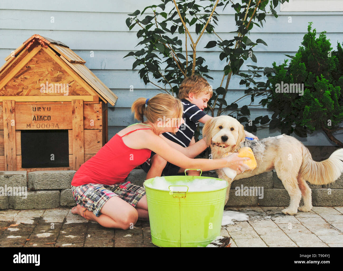 Kids washing dog outside hi-res stock photography and images - Alamy