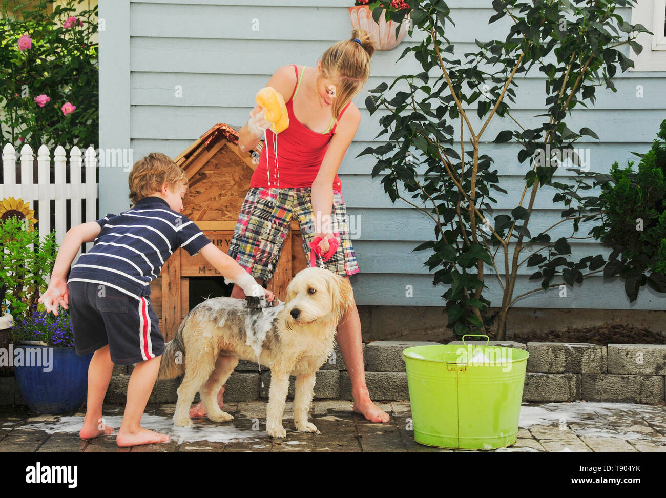 Family Washing Dog High Resolution Stock Photography and Images - Alamy