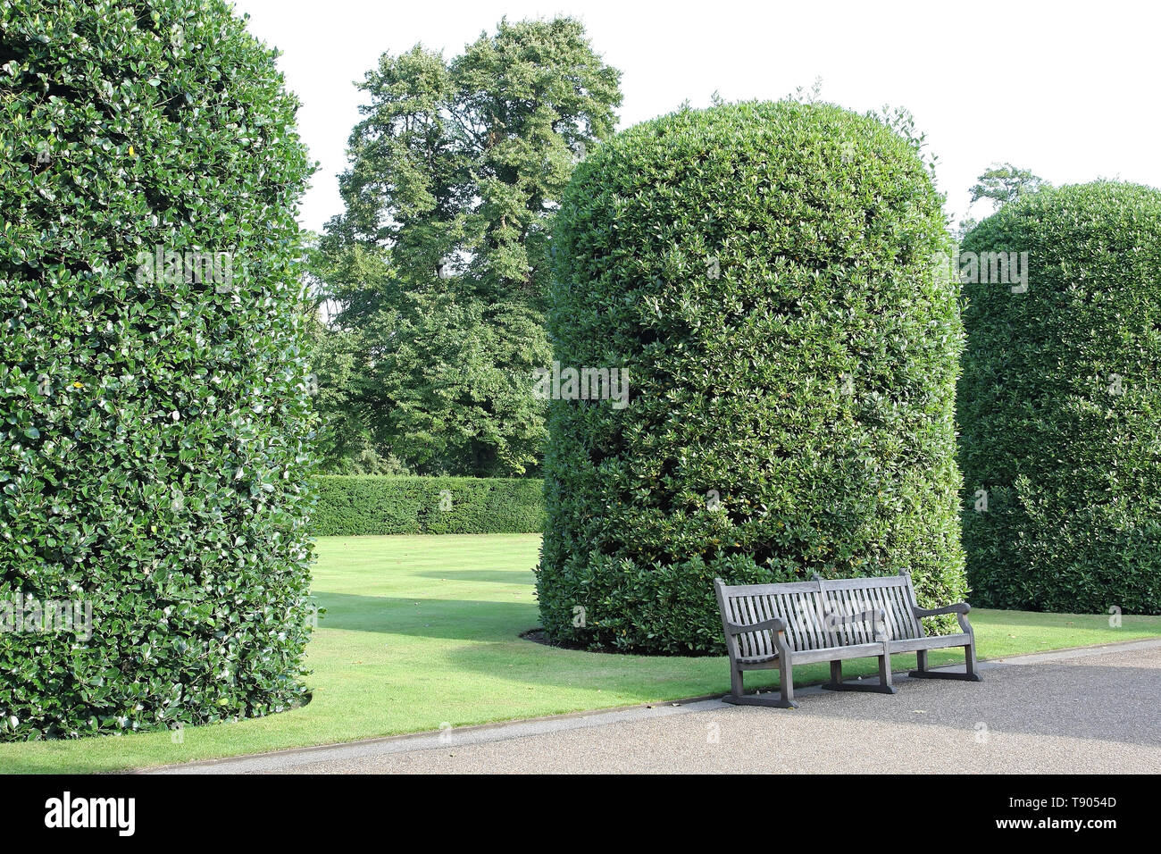 Bench in Park With Big Green Bush Stock Photo - Alamy