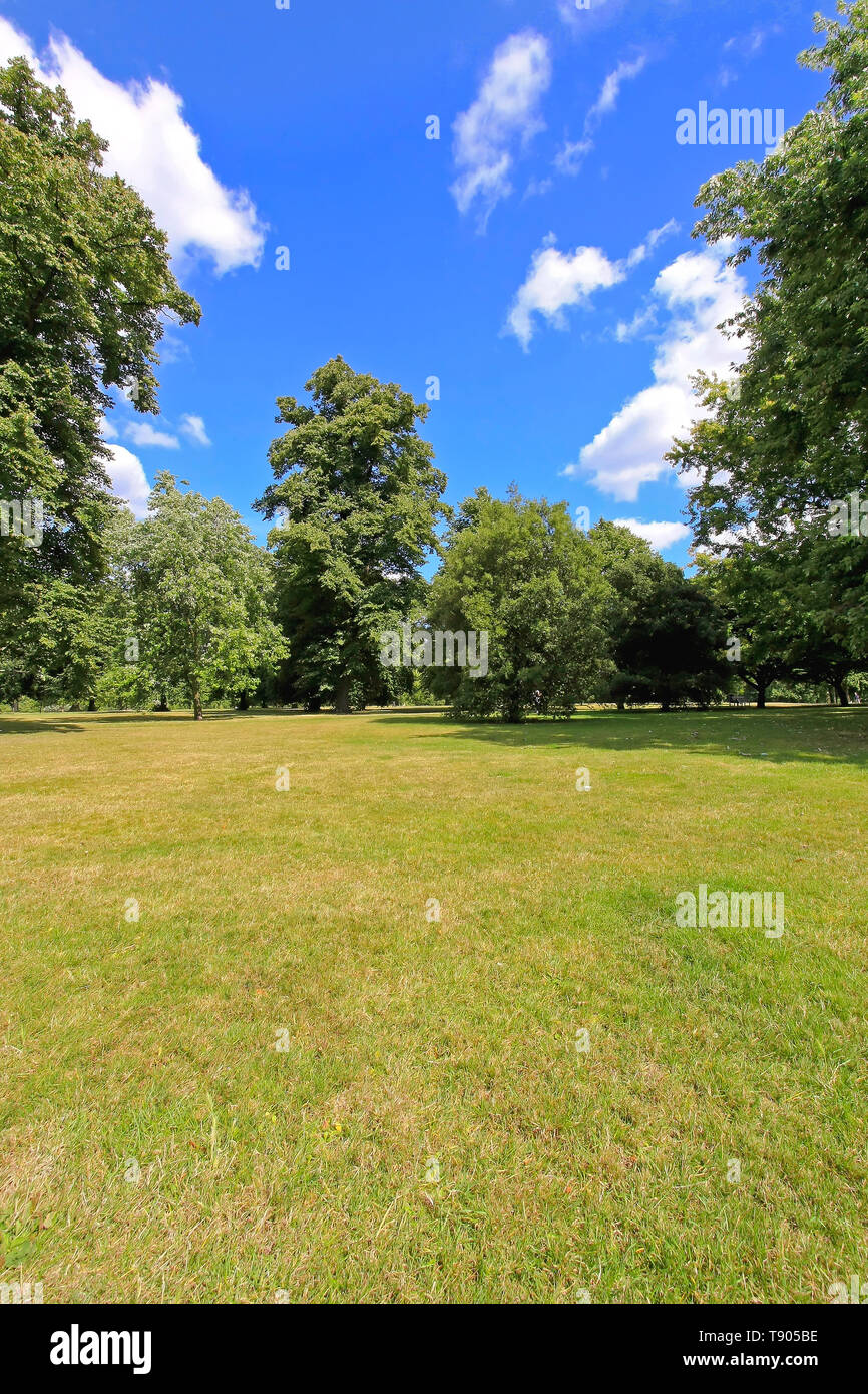 Hyde park meadow hi-res stock photography and images - Alamy
