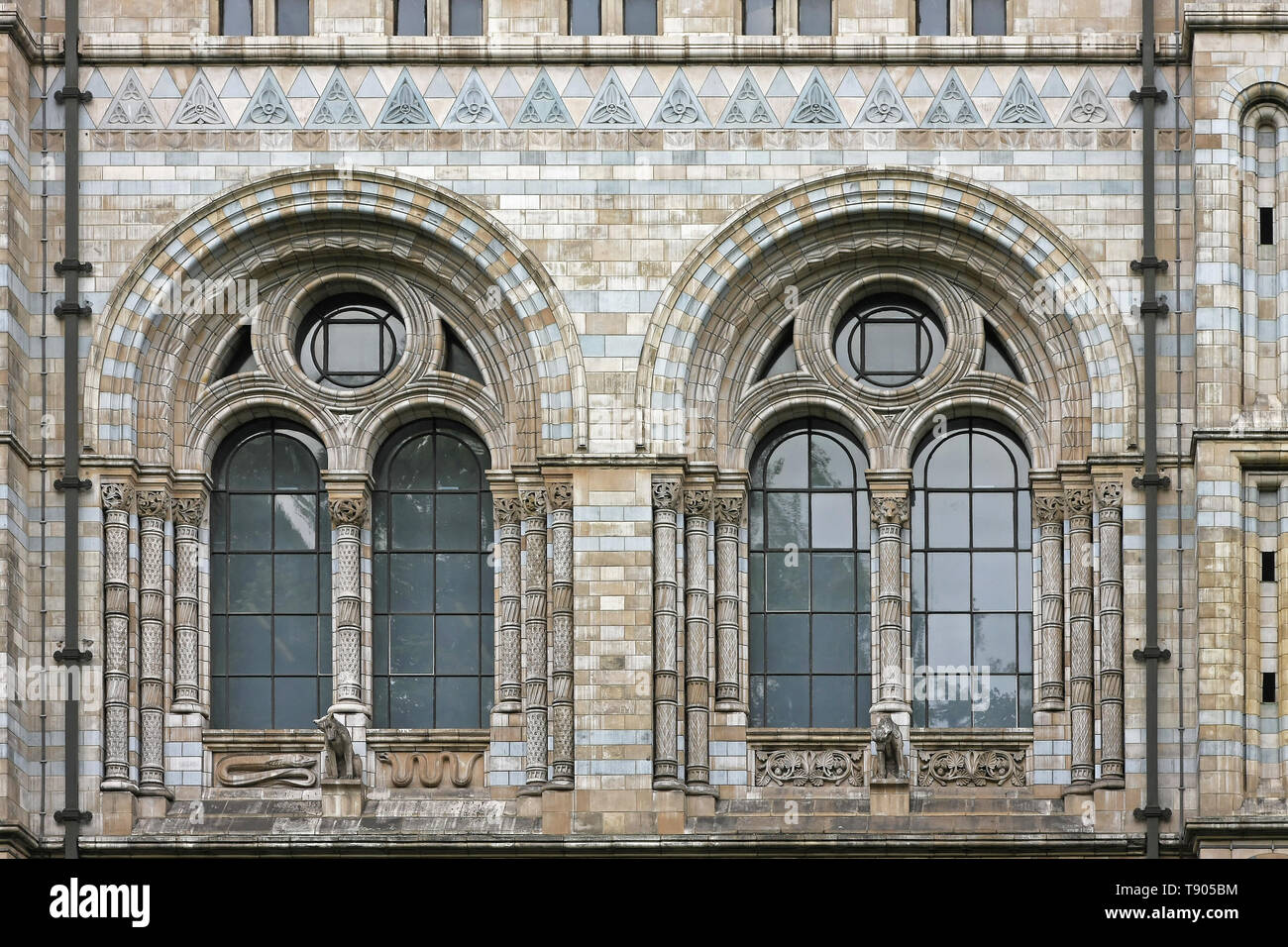 Windows at History Museum Building in Lndon Stock Photo - Alamy