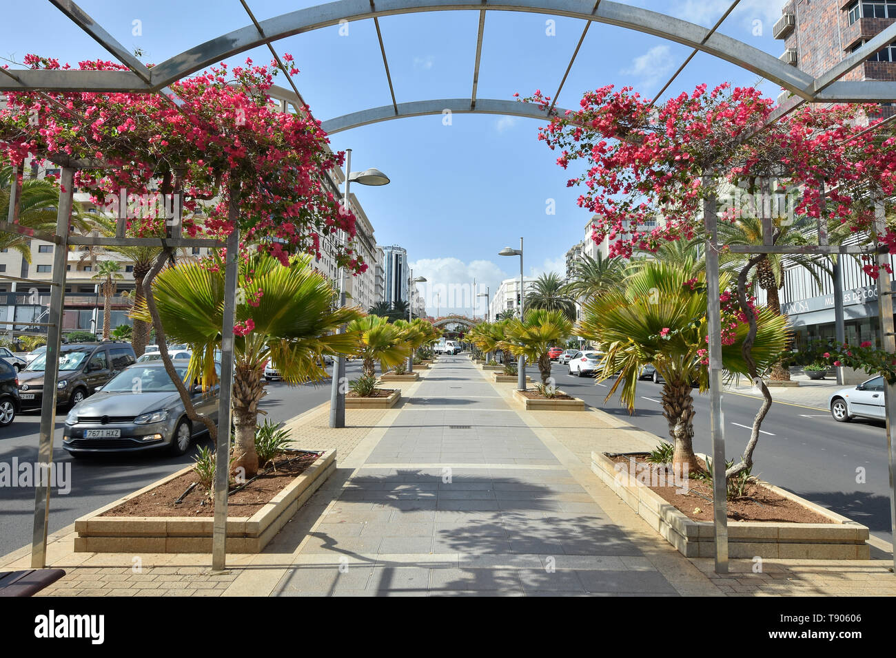 Santa Cruz de Tenerife, Canary island, Spain Stock Photo - Alamy