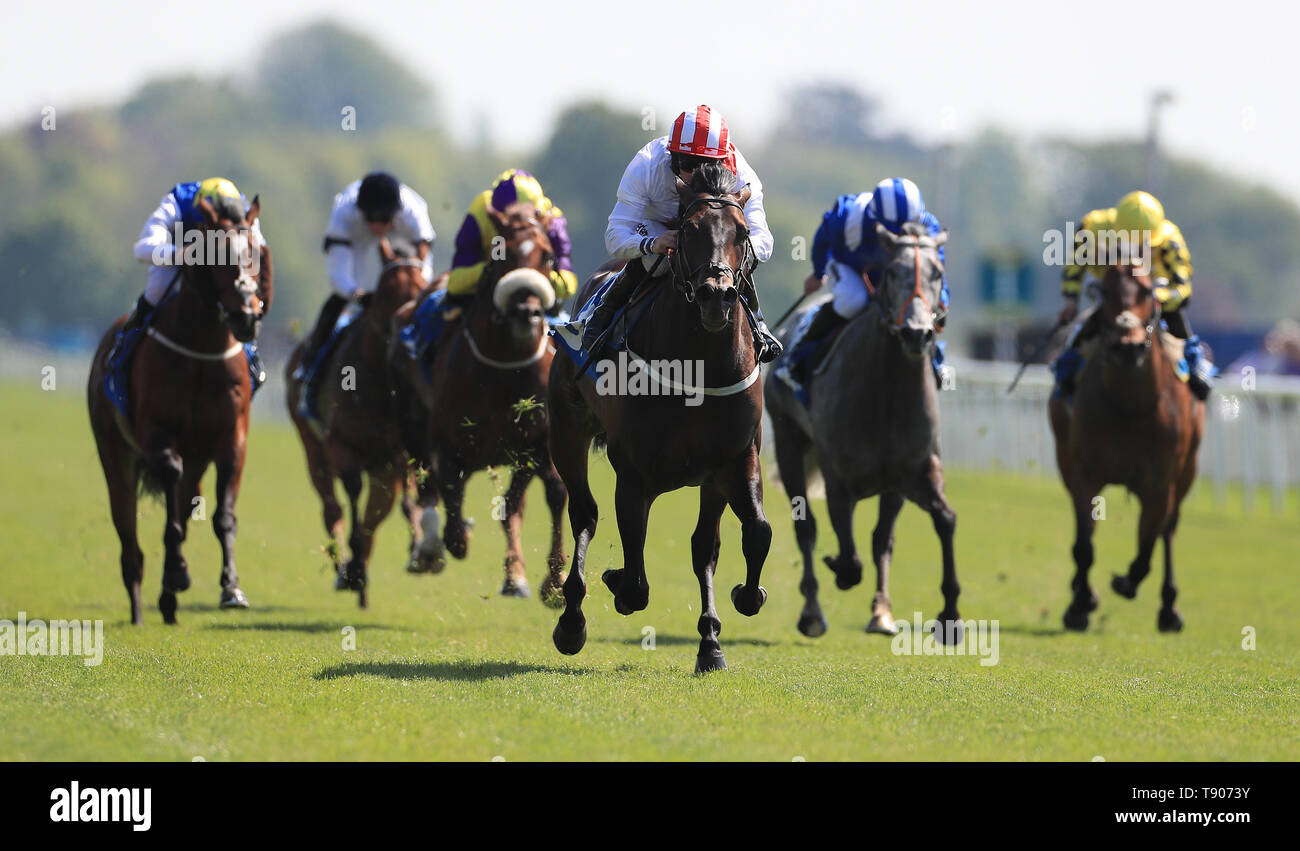 Invincible army horse hi-res stock photography and images - Alamy