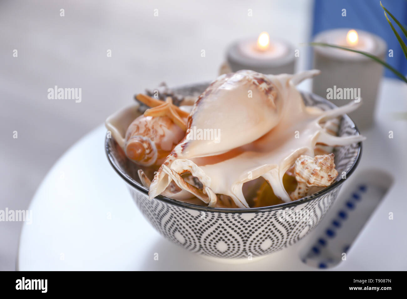Bowl with different sea shells on white table Stock Photo - Alamy