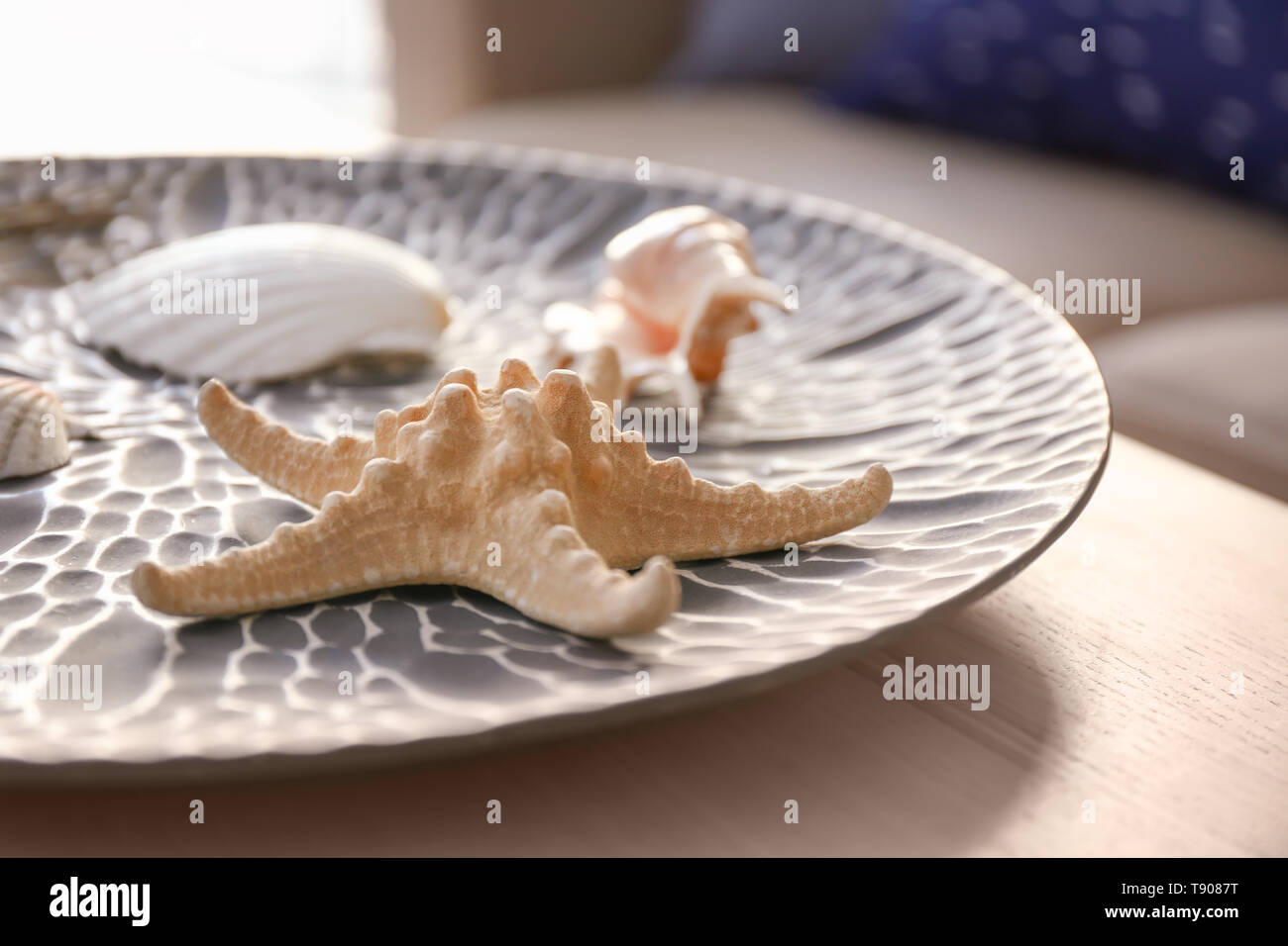 Beautiful shells plate hi-res stock photography and images - Alamy
