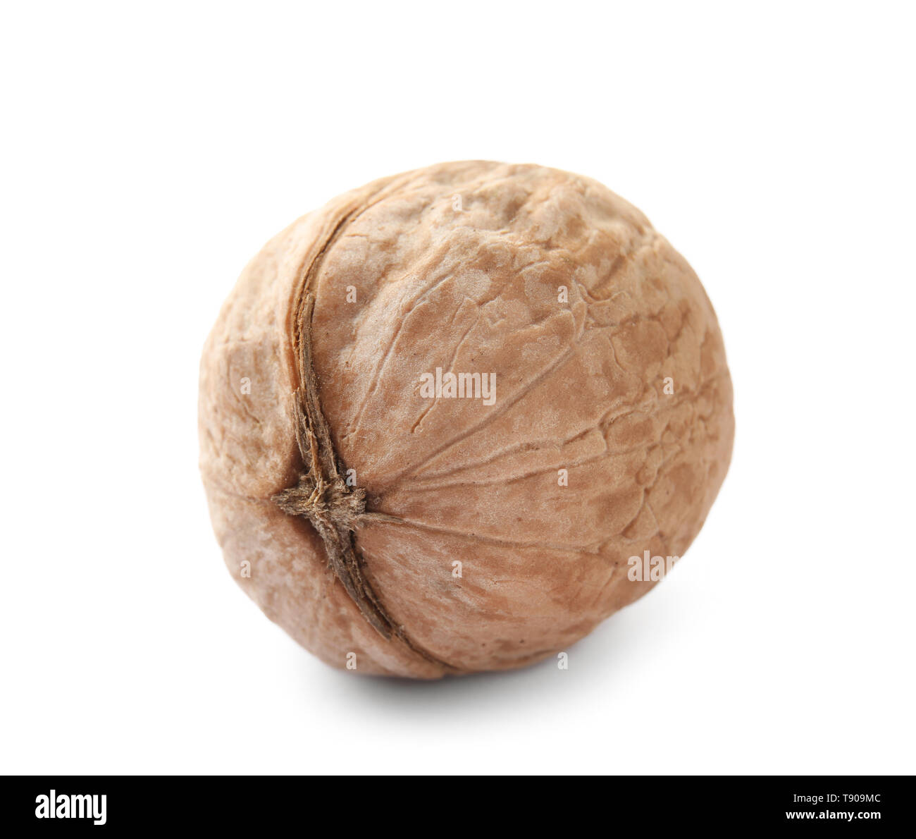 Unpeeled walnut harvest on hi-res stock photography and images - Alamy