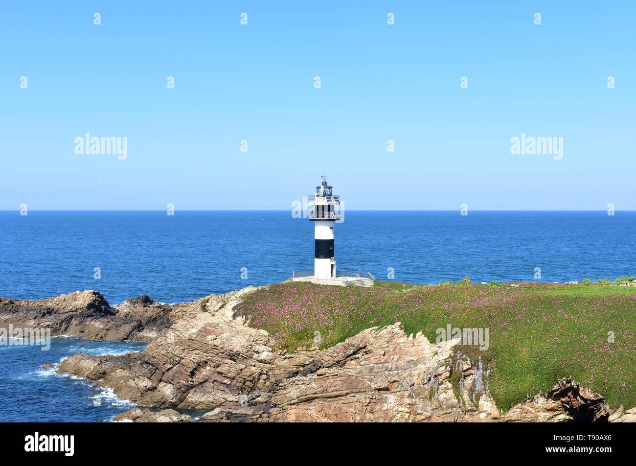 Lighthouse at Isla Pancha. Island with cliff and violet flowers ...