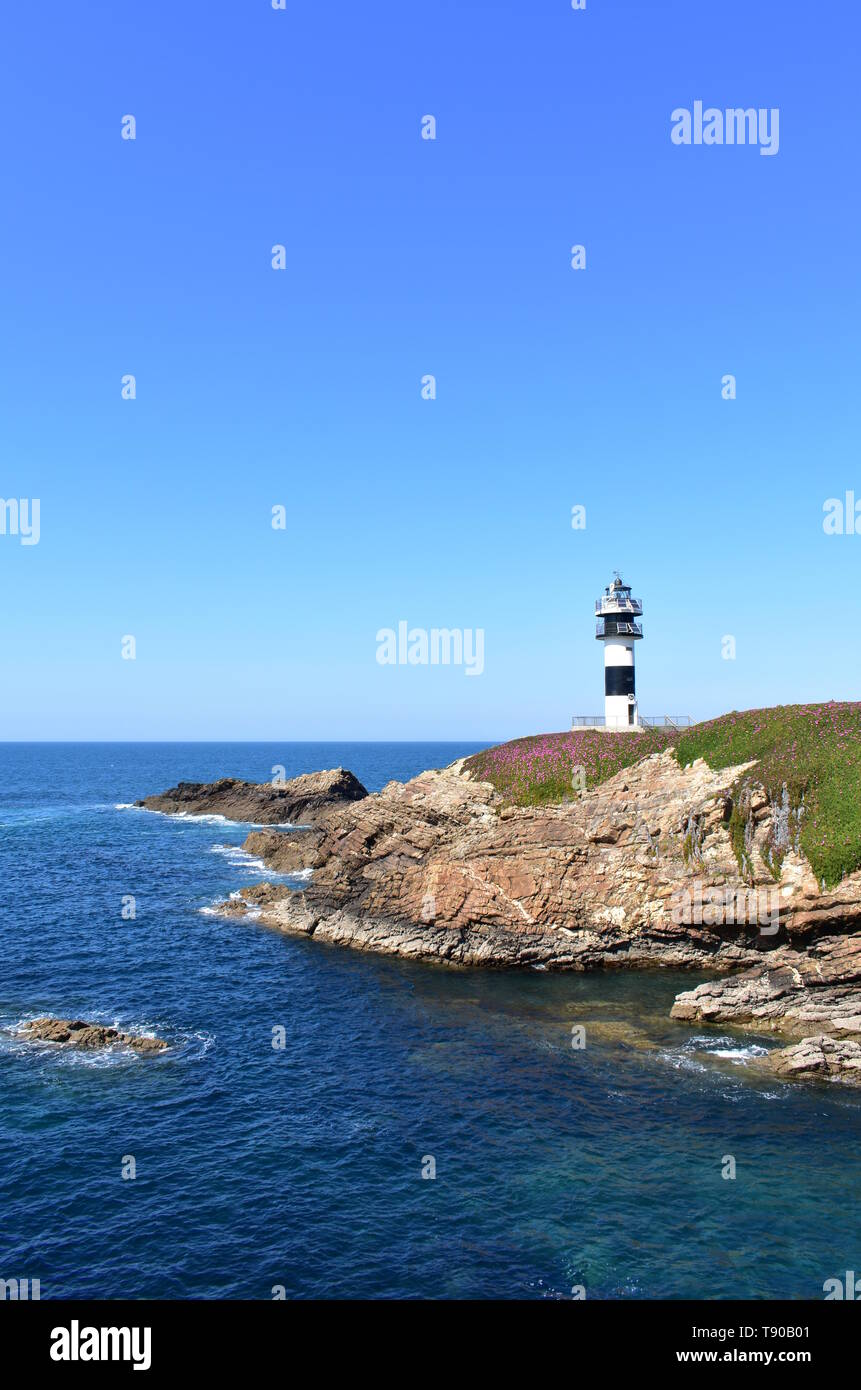 Lighthouse at Isla Pancha. Island with cliff and violet flowers ...