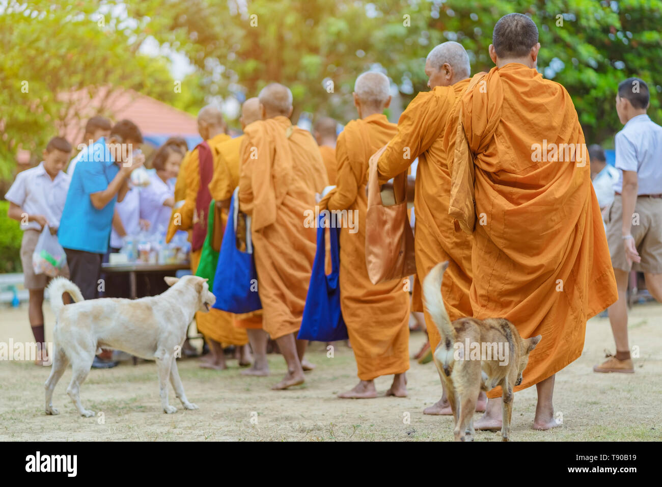 Teachers and students together make merit to give food offerings to a ...