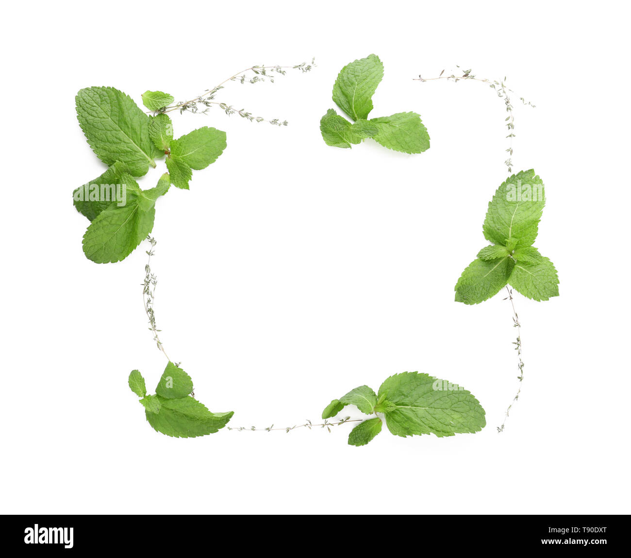 Frame made of fresh aromatic herbs on white background Stock Photo - Alamy