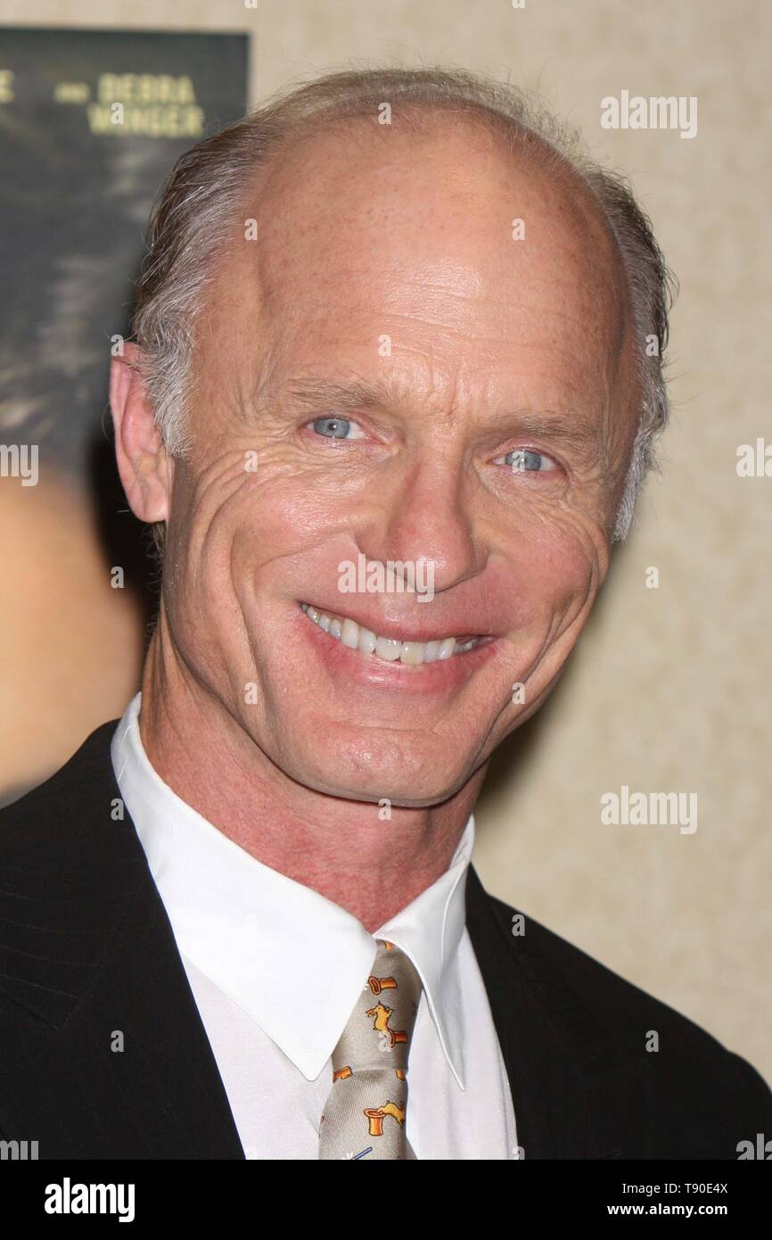 Ed Harris 11-6-2008 Photo by Adam Scull-PHOTOlink.net Stock Photo - Alamy