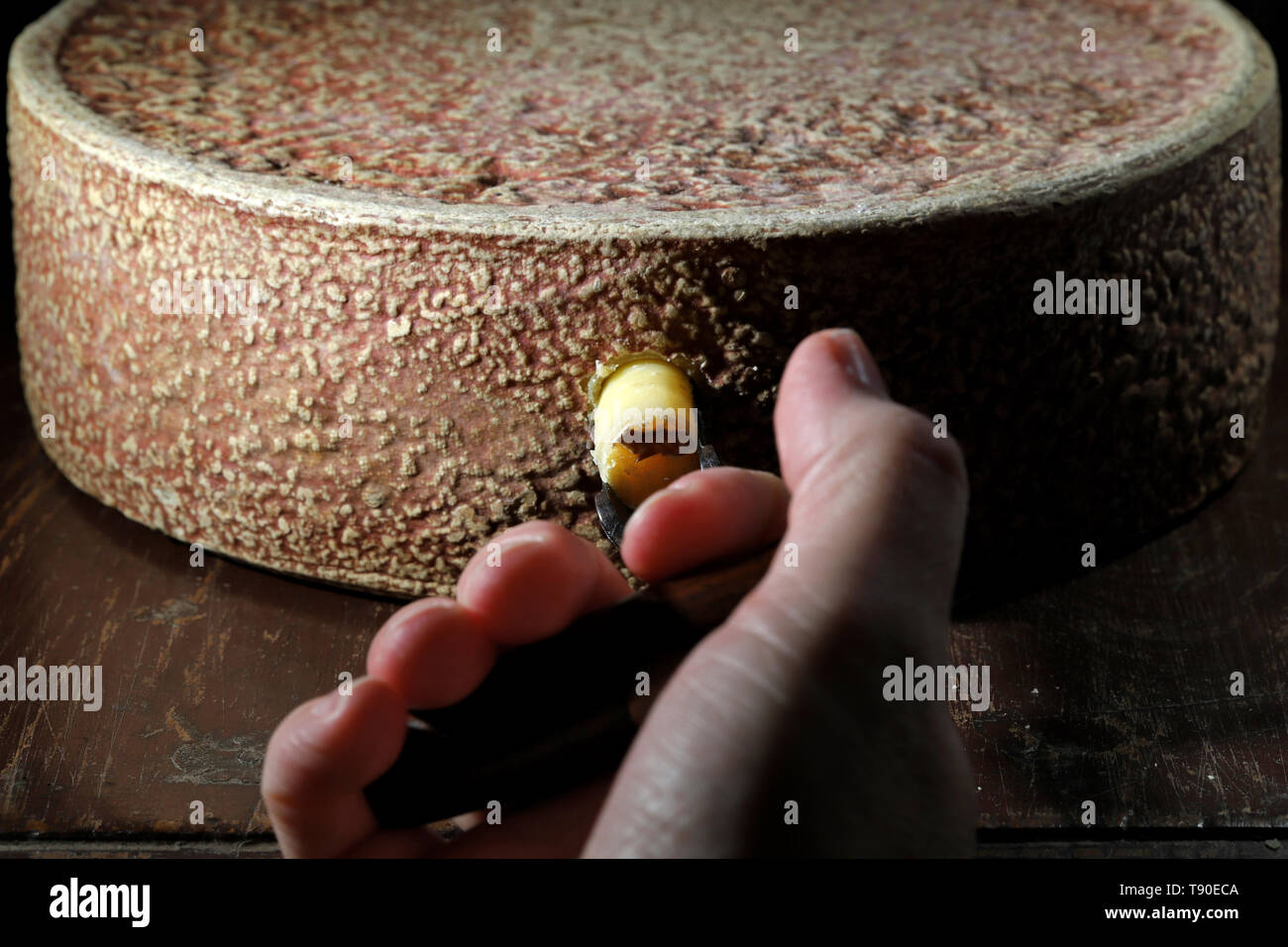 organic hay milk cheese wheel from German Allgäu region with grading ...