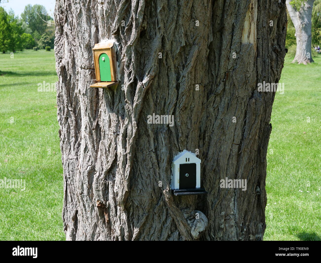 Tree of doors, Henley Stock Photo - Alamy