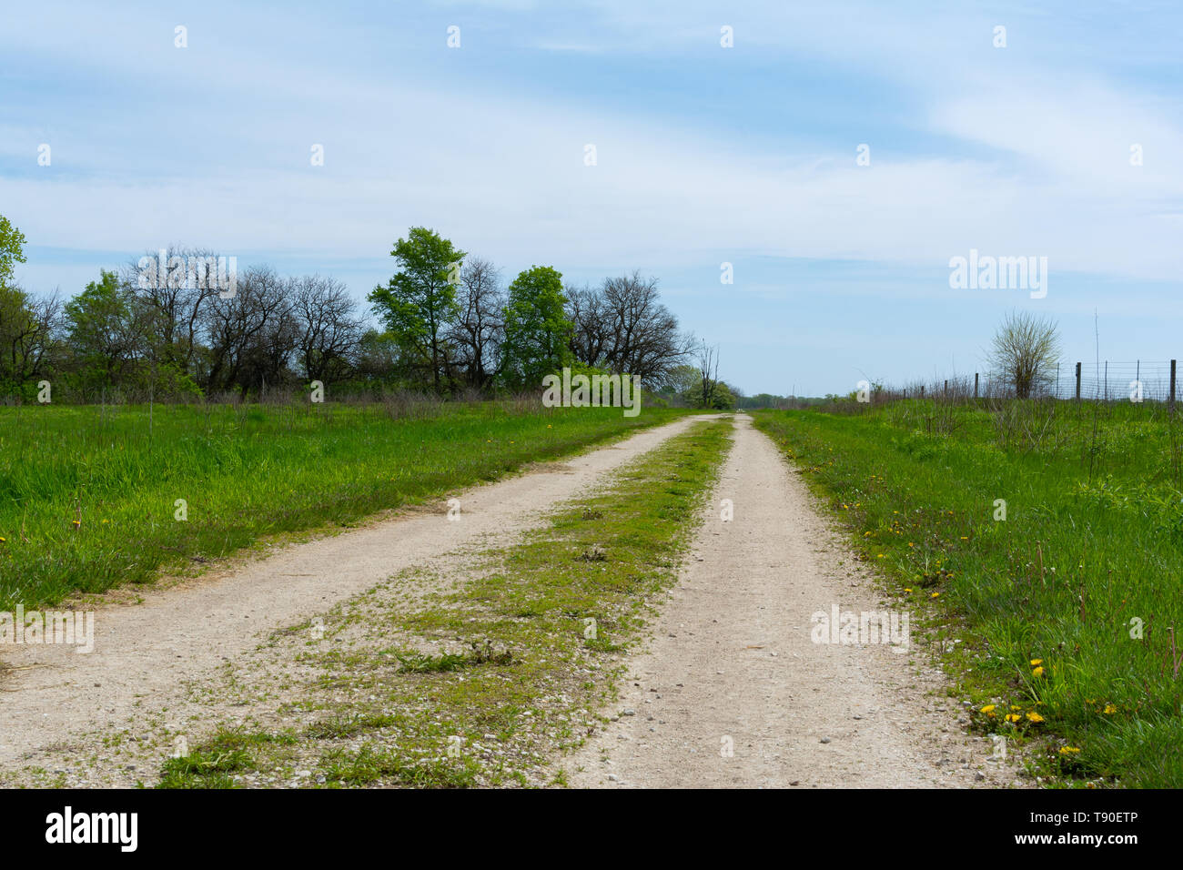 Dirt road through Midewin National Tallgrass Prairie on a beautiful ...