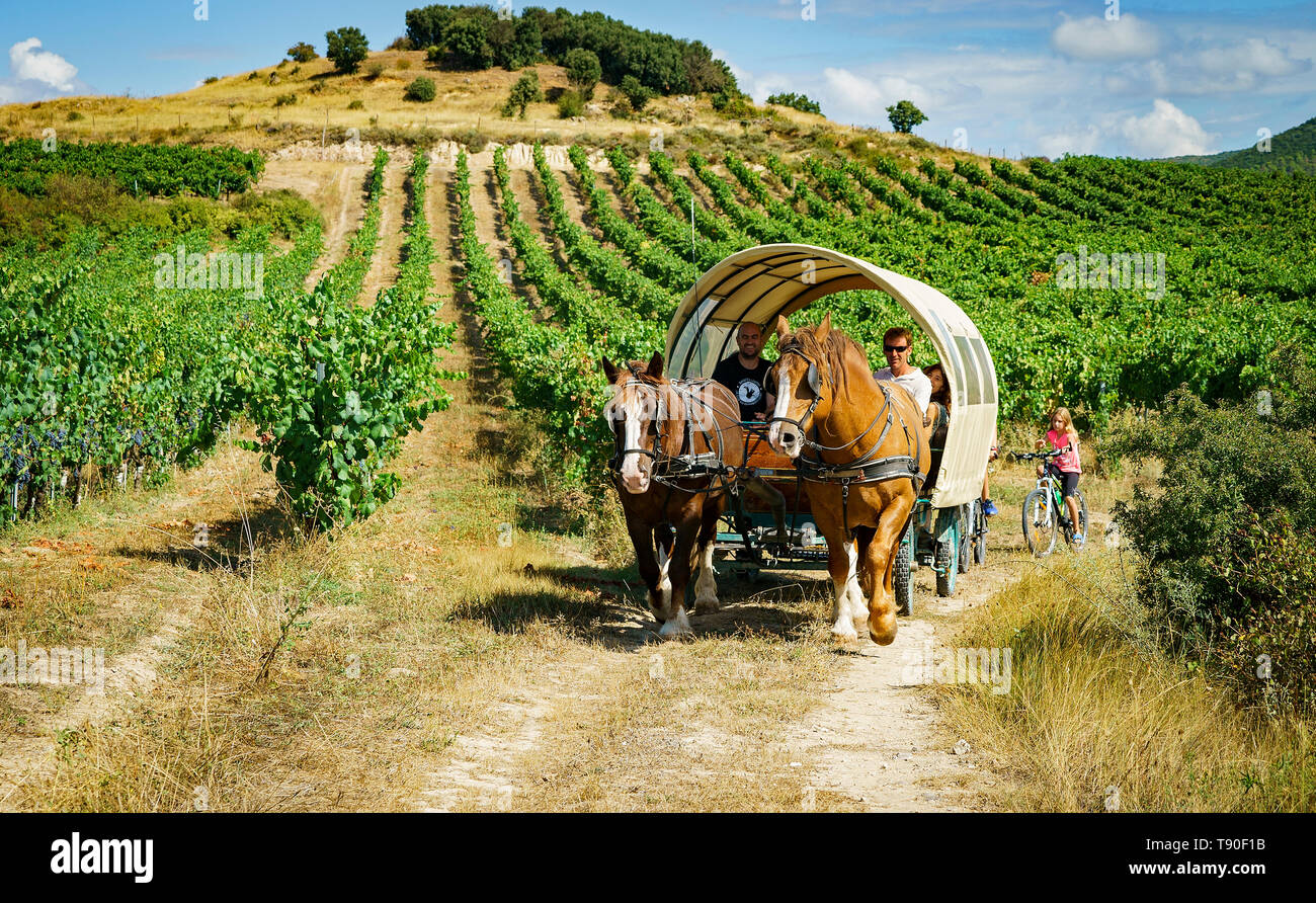 Traditional cart. Lacar. Navarre, Spain Stock Photo - Alamy