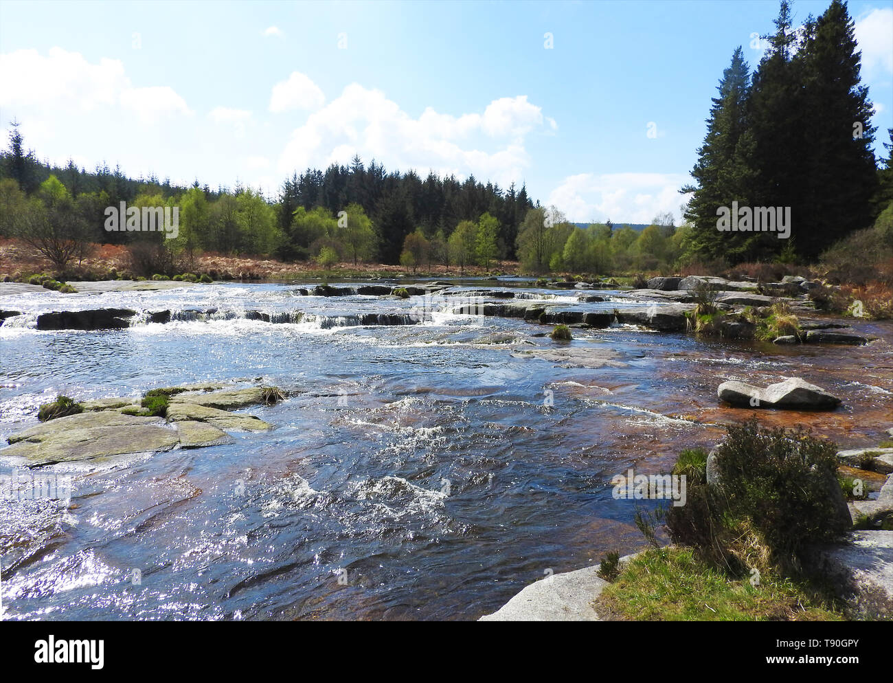 Otter Pool /Otterpool,Raiders Road , Galloway Forest. near Newton ...