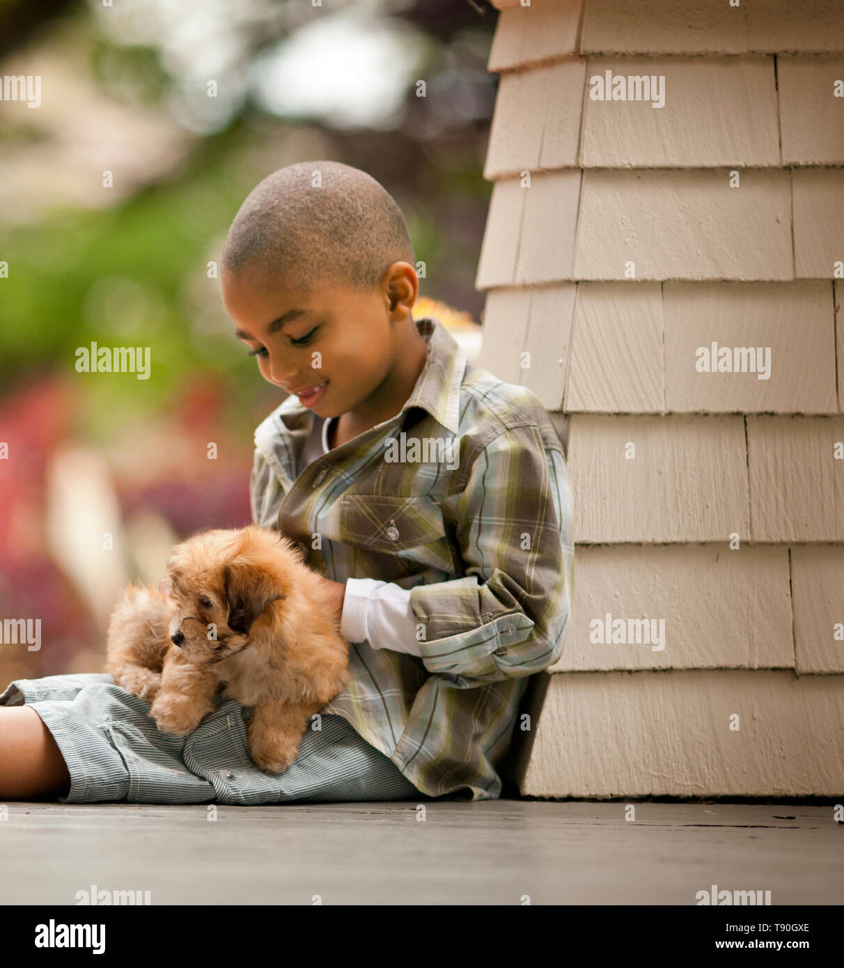 Delighted child puppy hi-res stock photography and images - Alamy