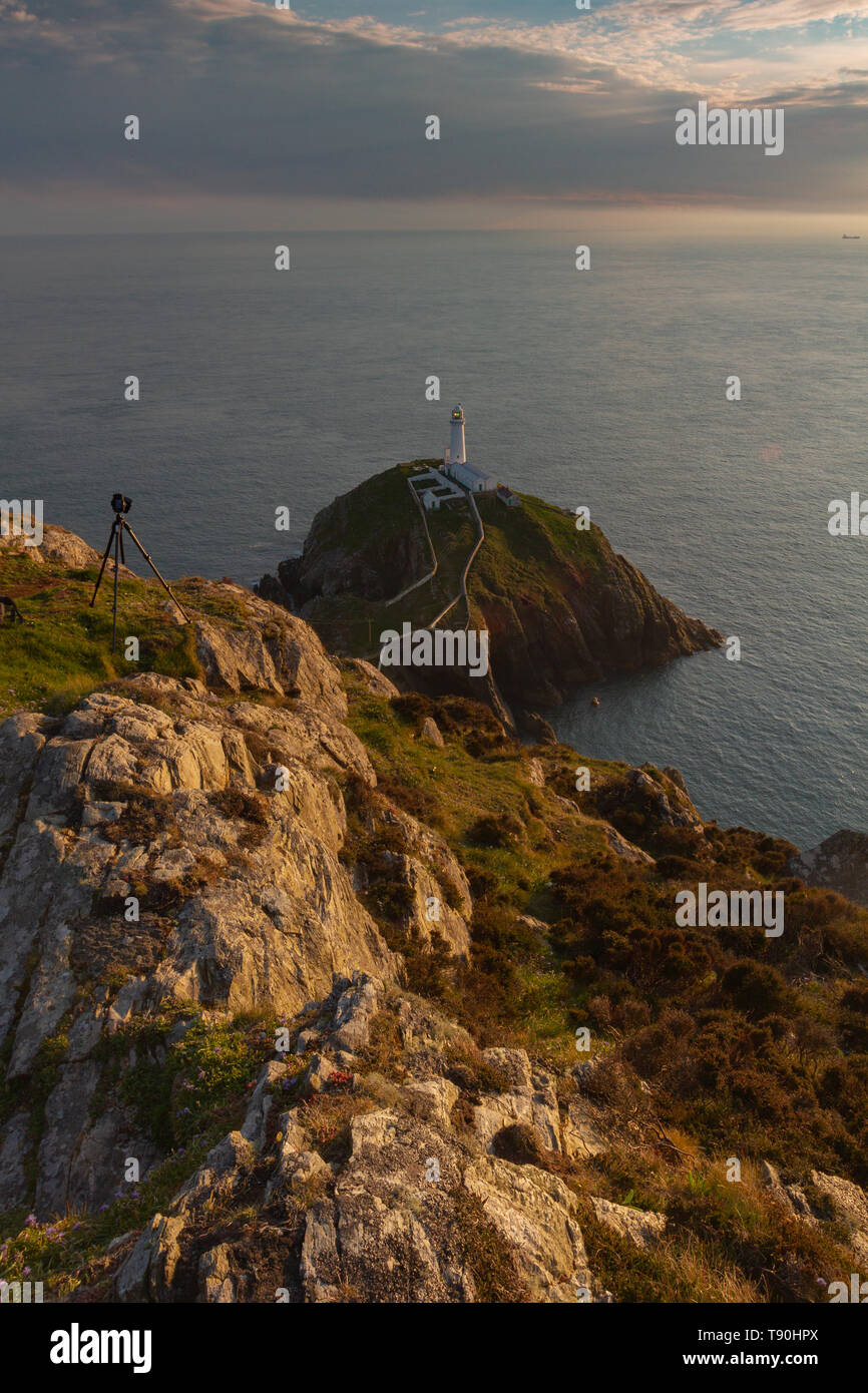 South Stack lighthouse, Anglesey, Wales Stock Photo - Alamy