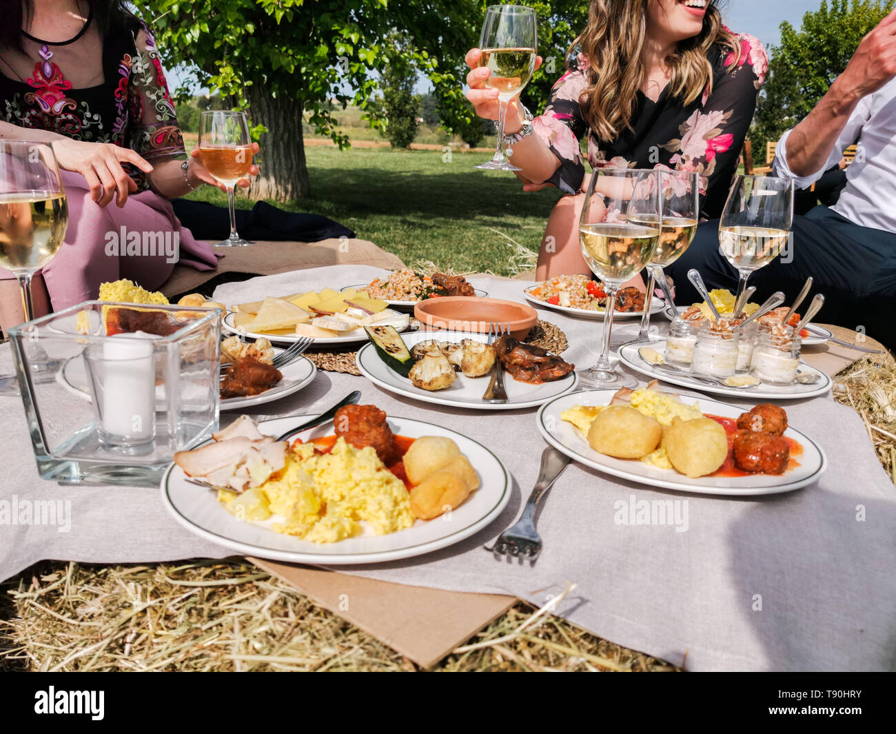 aperitif with white wine on a meadown in the countryside, cold cutt and ...